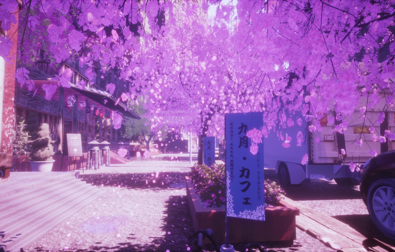 Sakura Street Wallpapers - Wallpaper Cave
