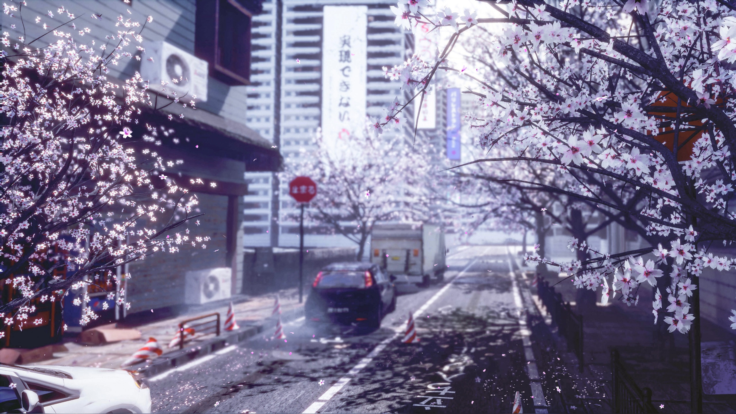 Sakura Street Wallpapers - Wallpaper Cave