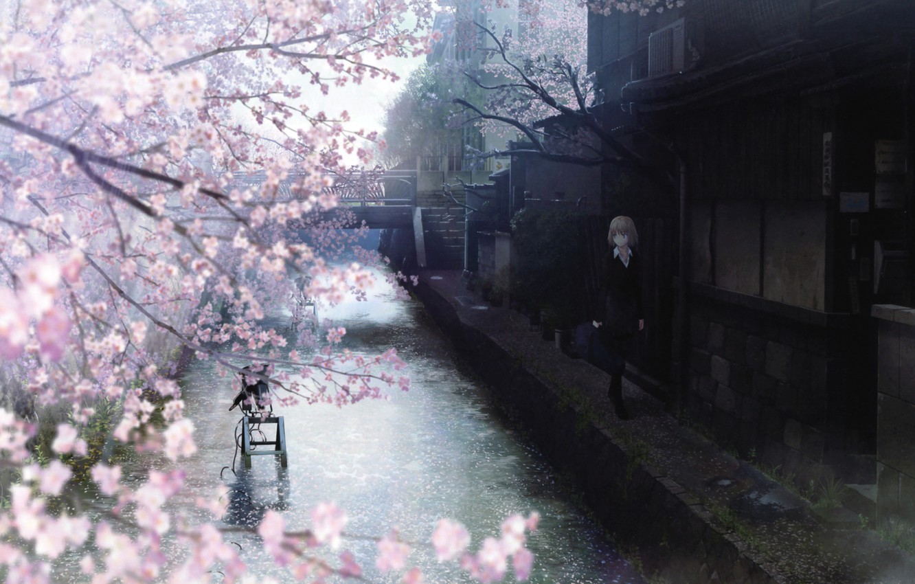 Sakura Street Wallpapers - Wallpaper Cave