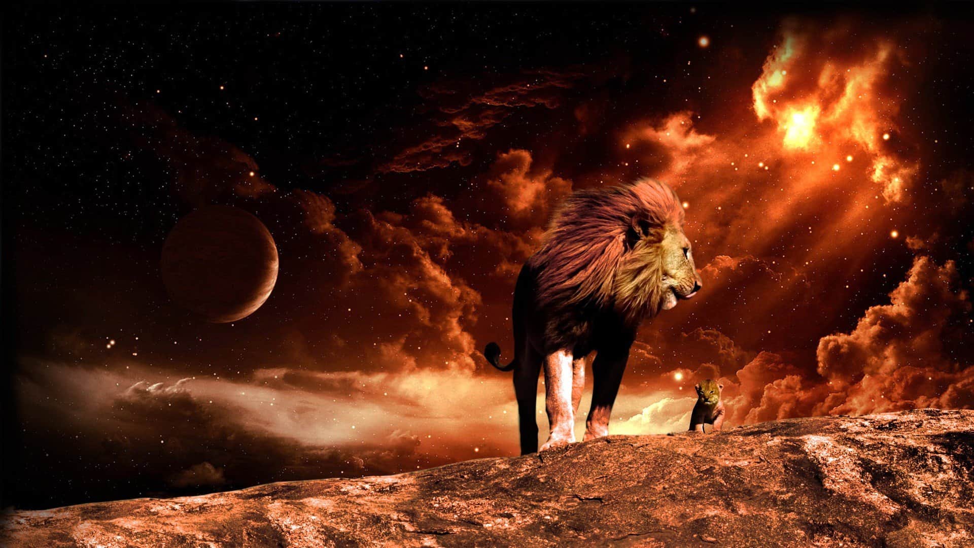 Leo Lion Wallpapers - Wallpaper Cave