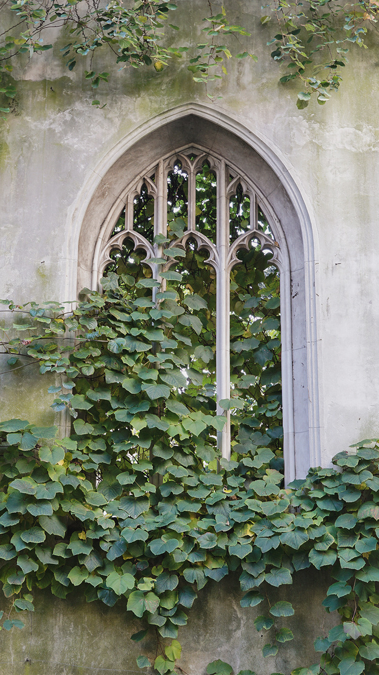 Green Academia Wallpapers - Wallpaper Cave