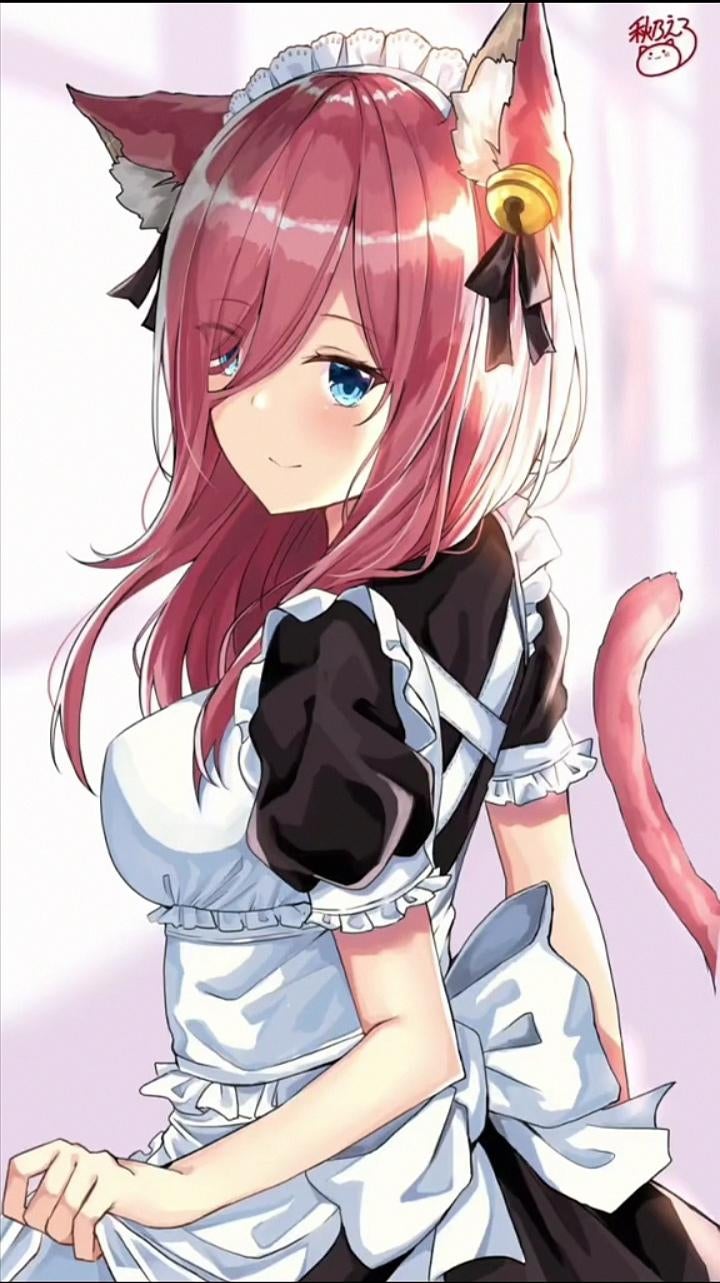Cat Maid Wallpapers - Wallpaper Cave