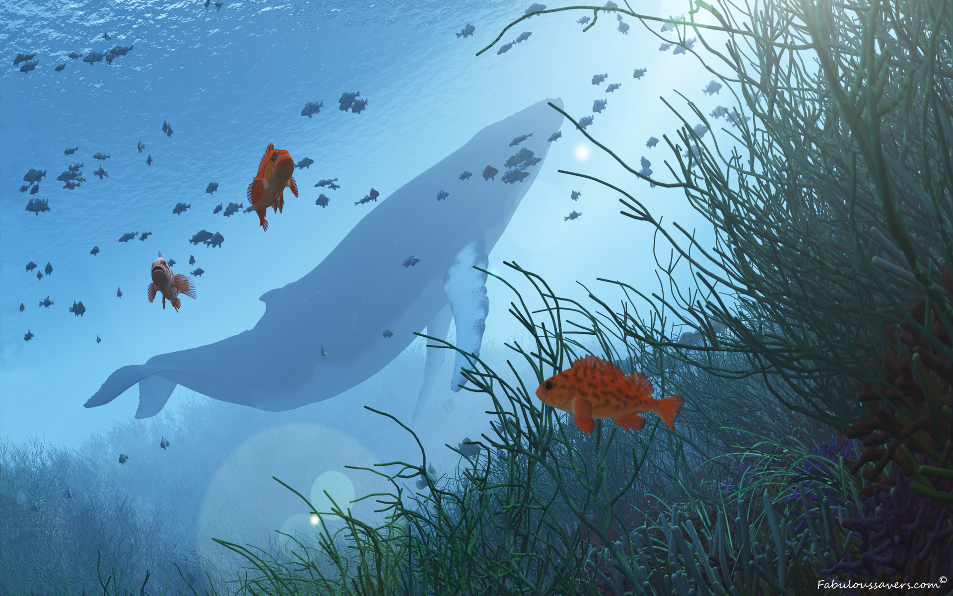 Blue Whale Art Wallpapers - Wallpaper Cave