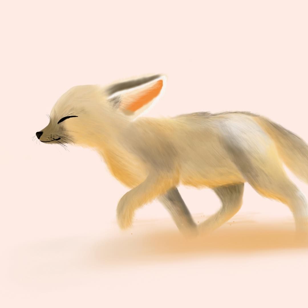 Fennec Fox Computer Wallpaper Most Viewed Fennec Fox Wallpapers | 4K