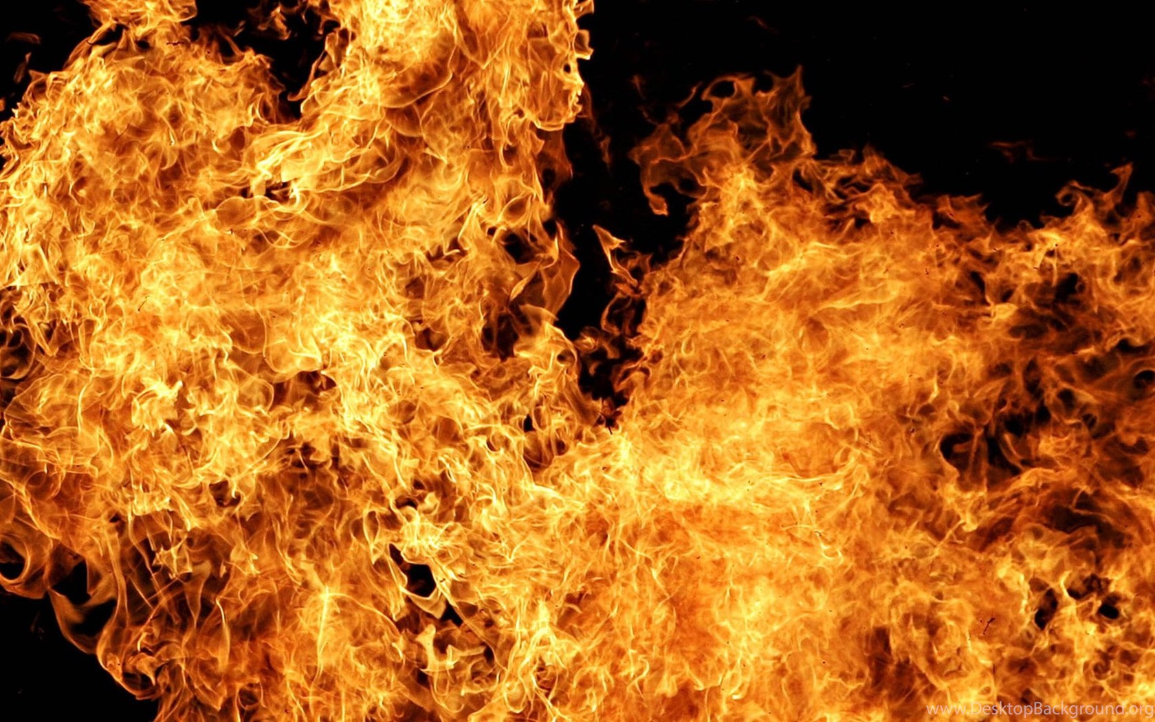 Real Fire Wallpapers - Wallpaper Cave