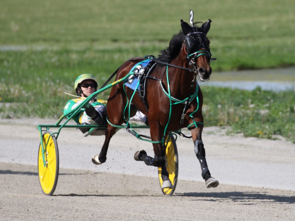 Pacing Horse Wallpapers - Wallpaper Cave