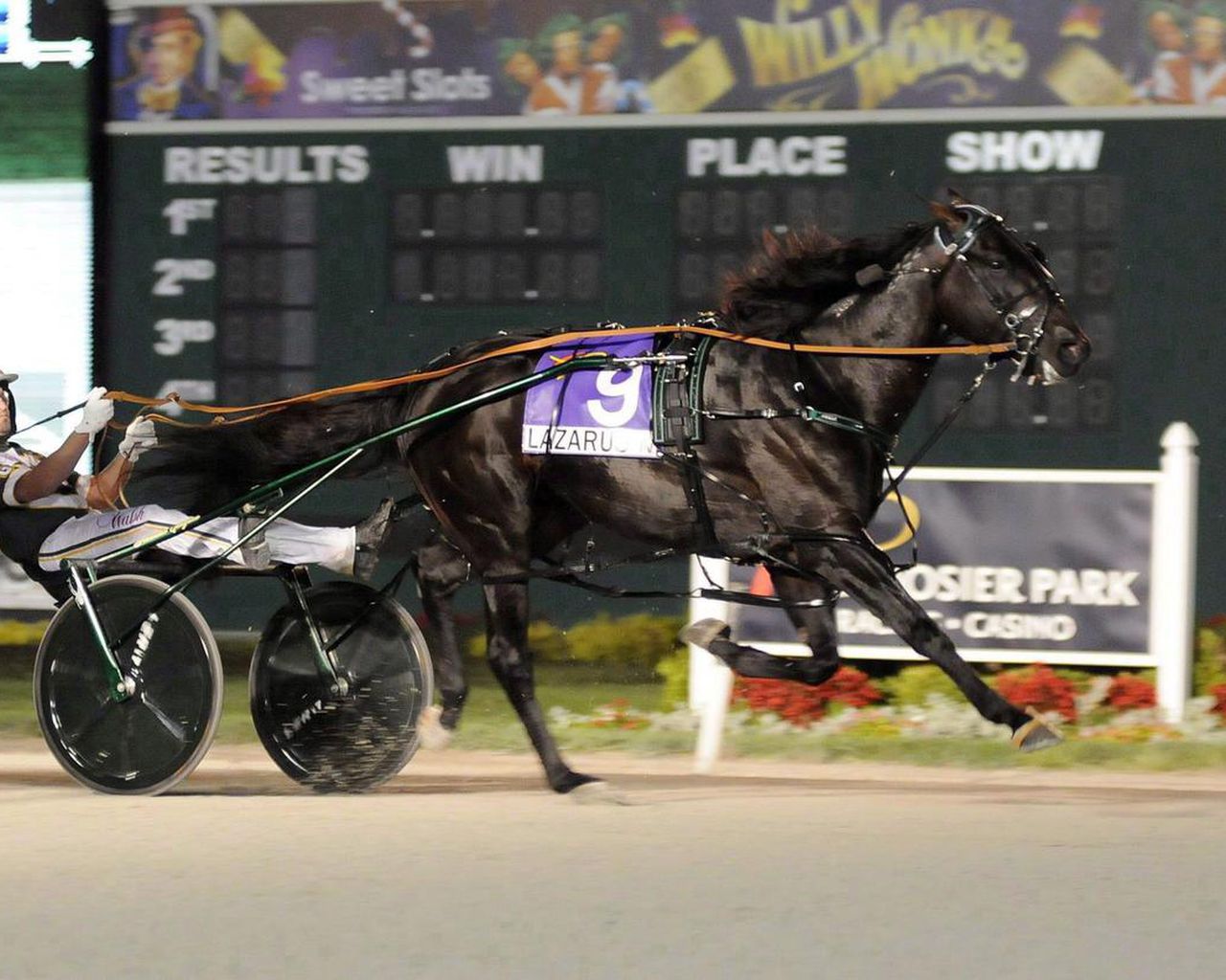 Pacing Horse Wallpapers - Wallpaper Cave