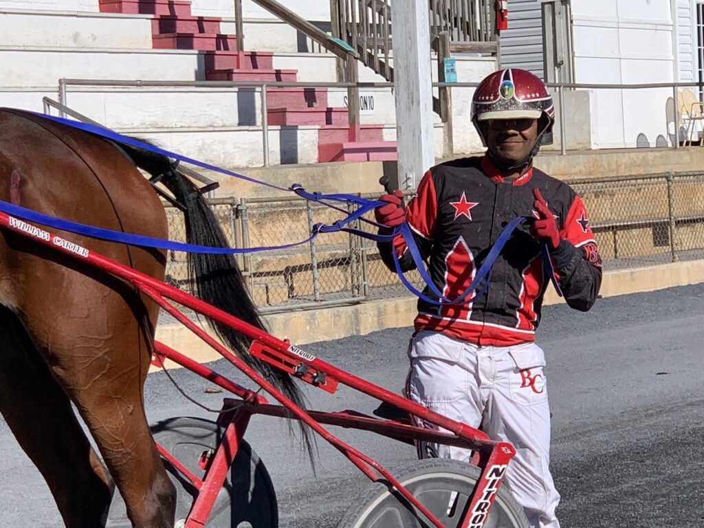 Pacing Horse Wallpapers - Wallpaper Cave