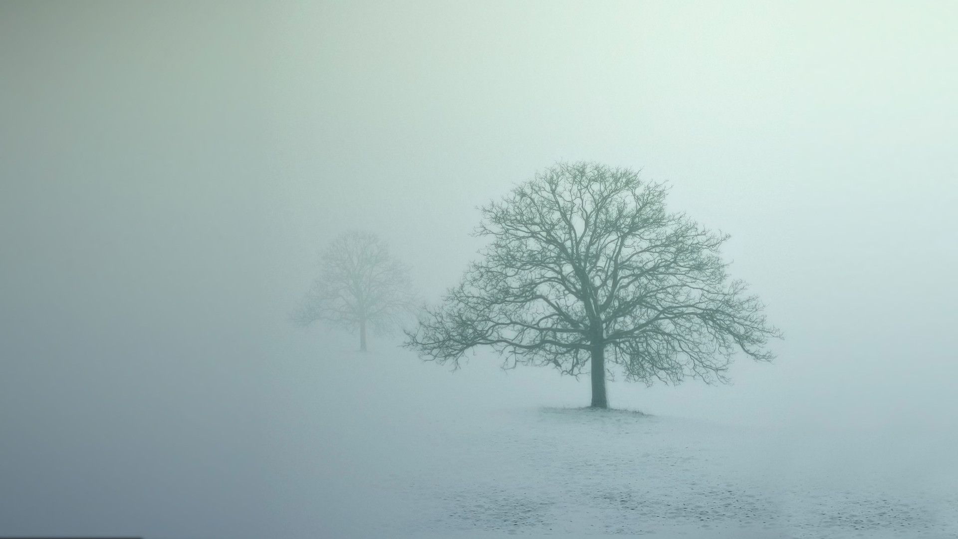 Winter Mist Desktop Wallpapers - Wallpaper Cave