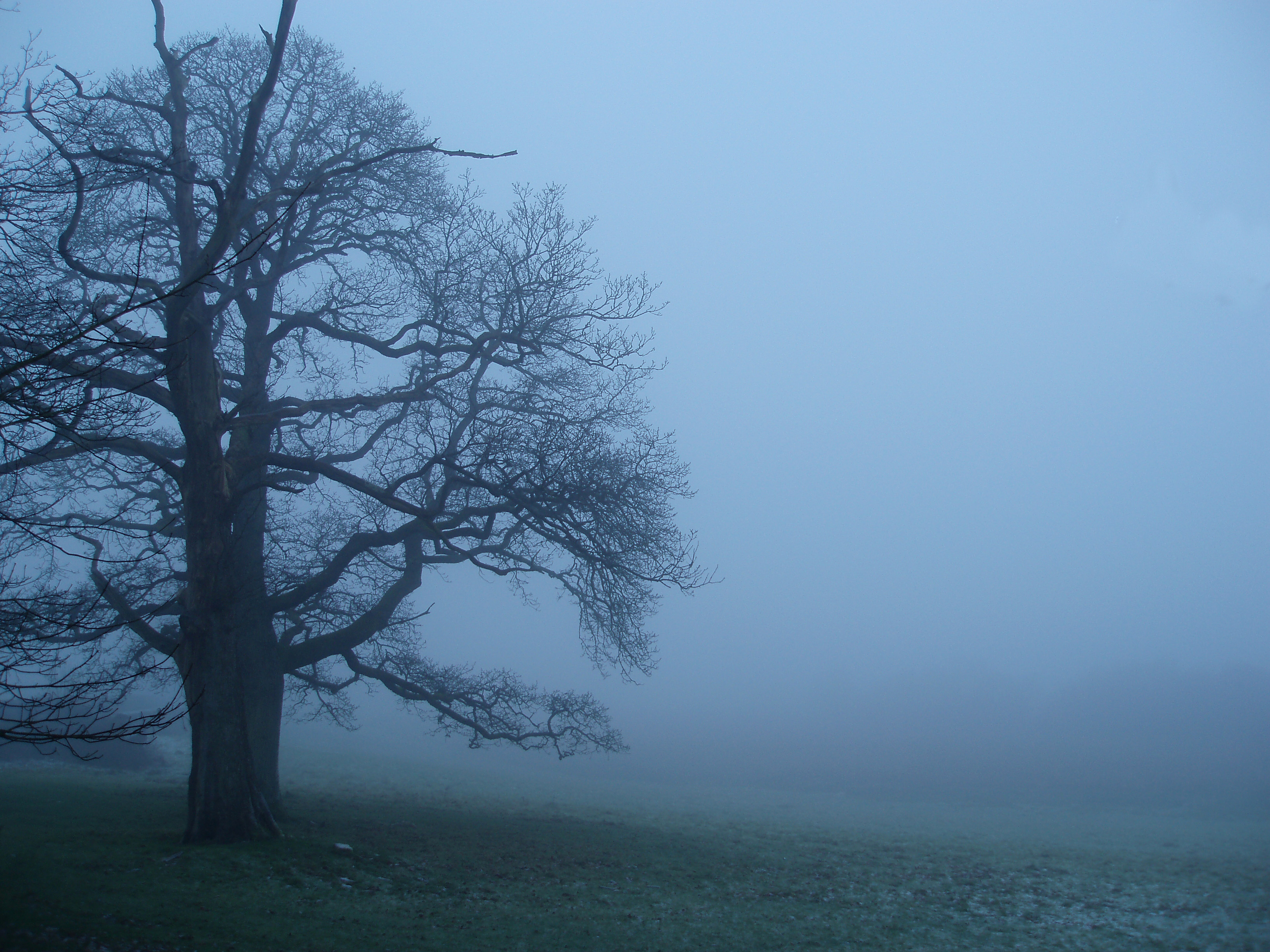 Winter Mist Desktop Wallpapers - Wallpaper Cave