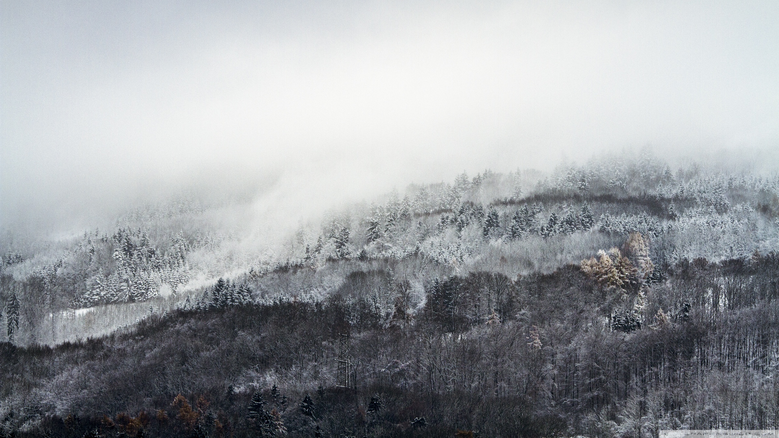 Winter Mist Desktop Wallpapers - Wallpaper Cave