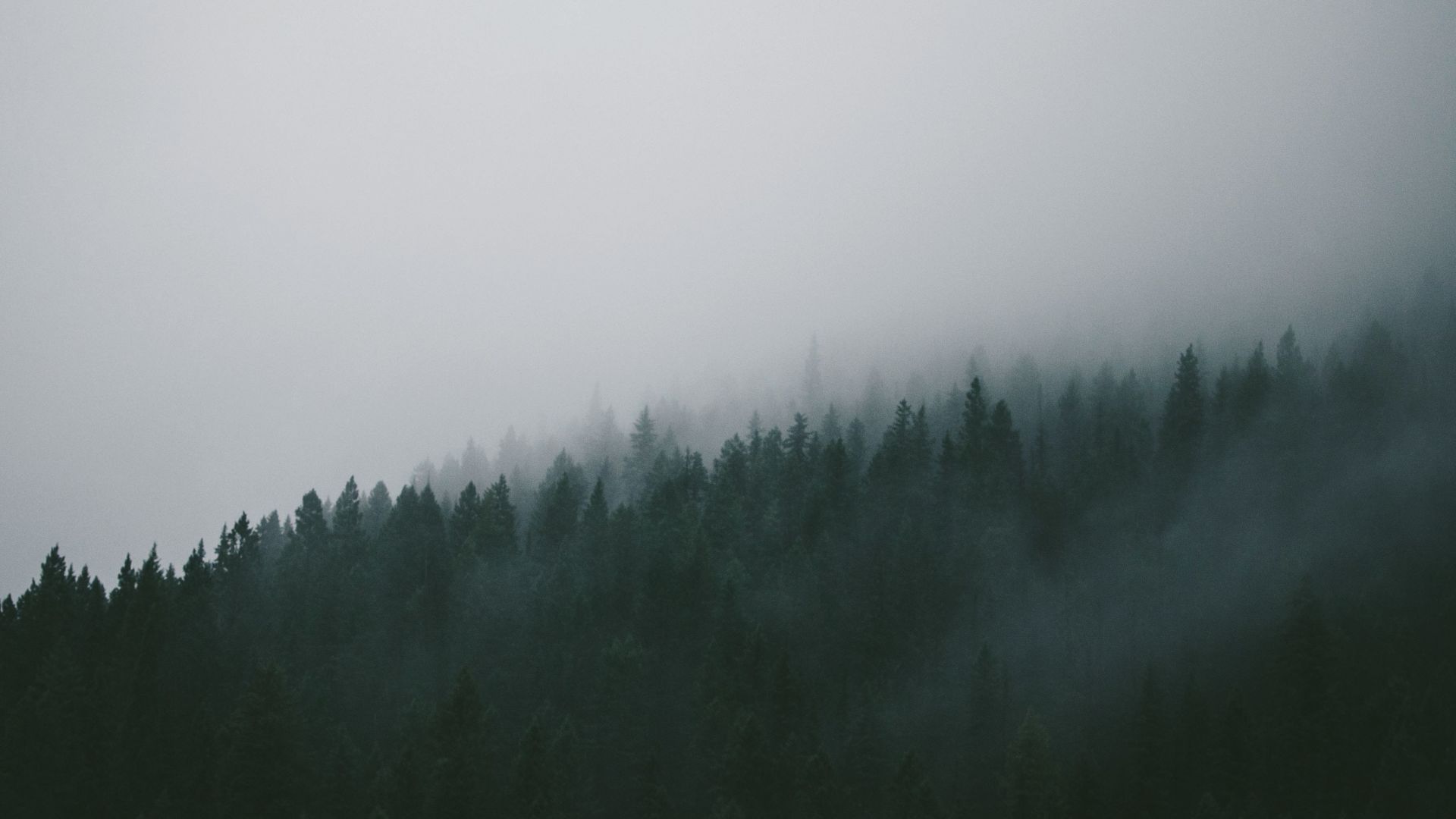 Winter Mist Desktop Wallpapers - Wallpaper Cave