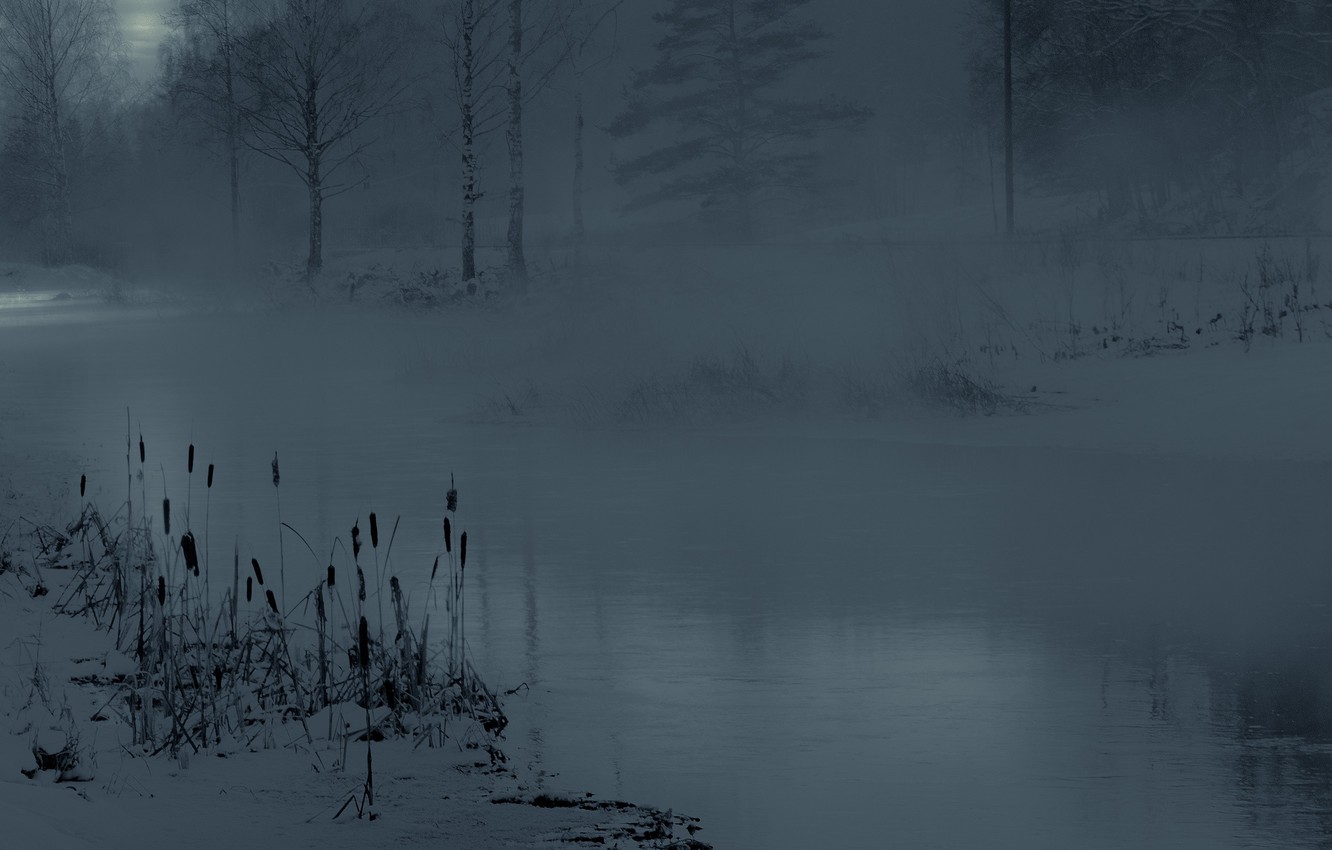 Winter Mist Desktop Wallpapers - Wallpaper Cave