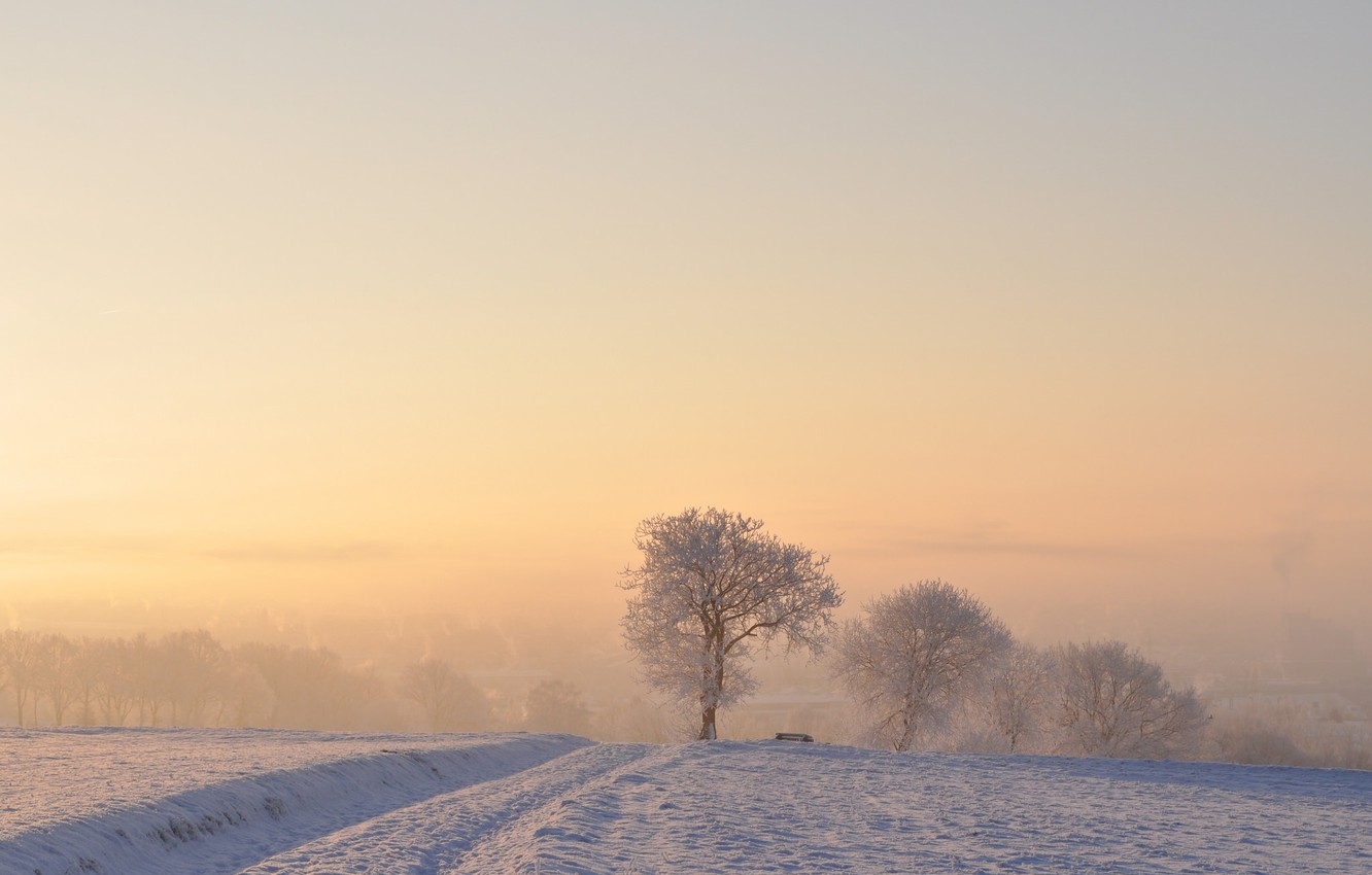 Winter Mist Desktop Wallpapers - Wallpaper Cave