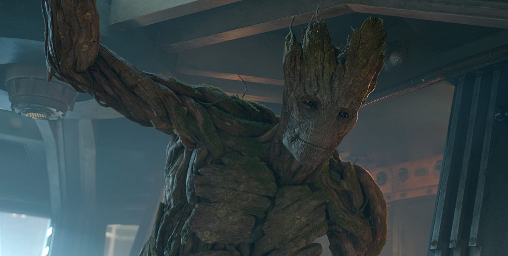 Adult Groot Wallpapers - Wallpaper Cave