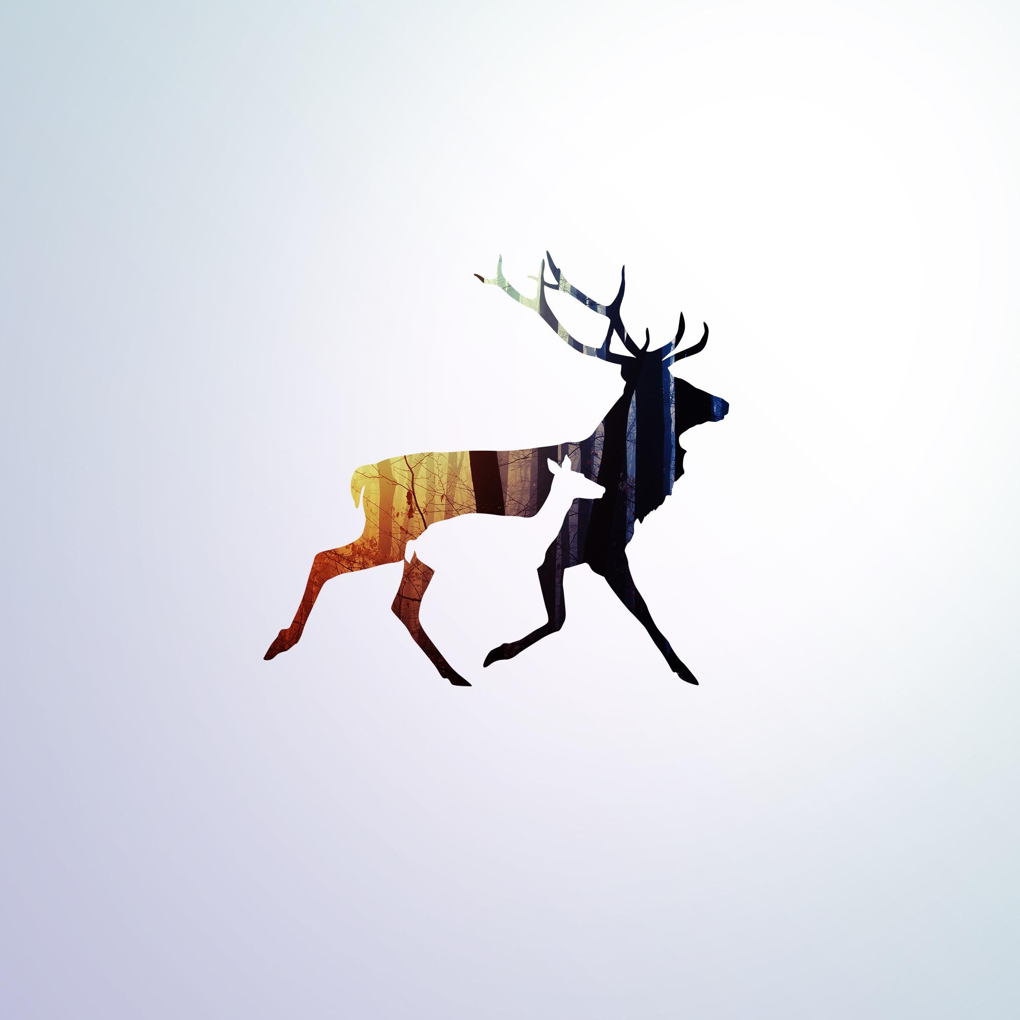 Cartoon Deer Wallpapers - Wallpaper Cave