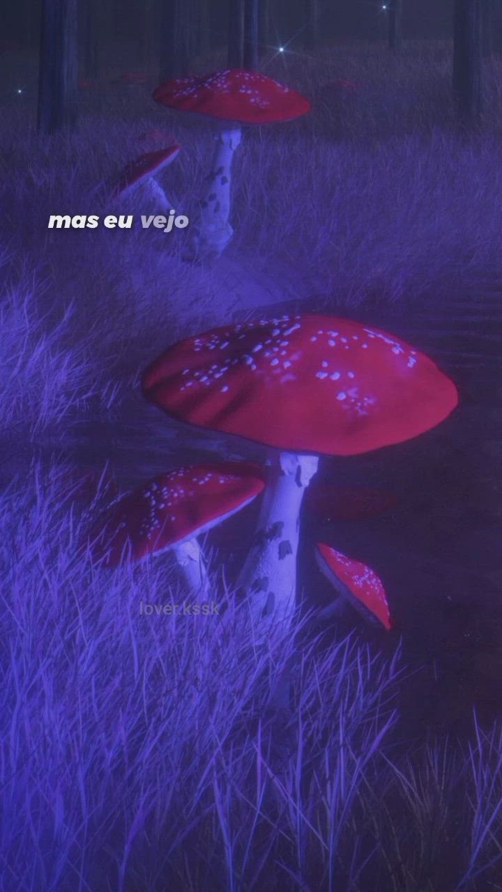 Mushroomcore Wallpapers - Wallpaper Cave