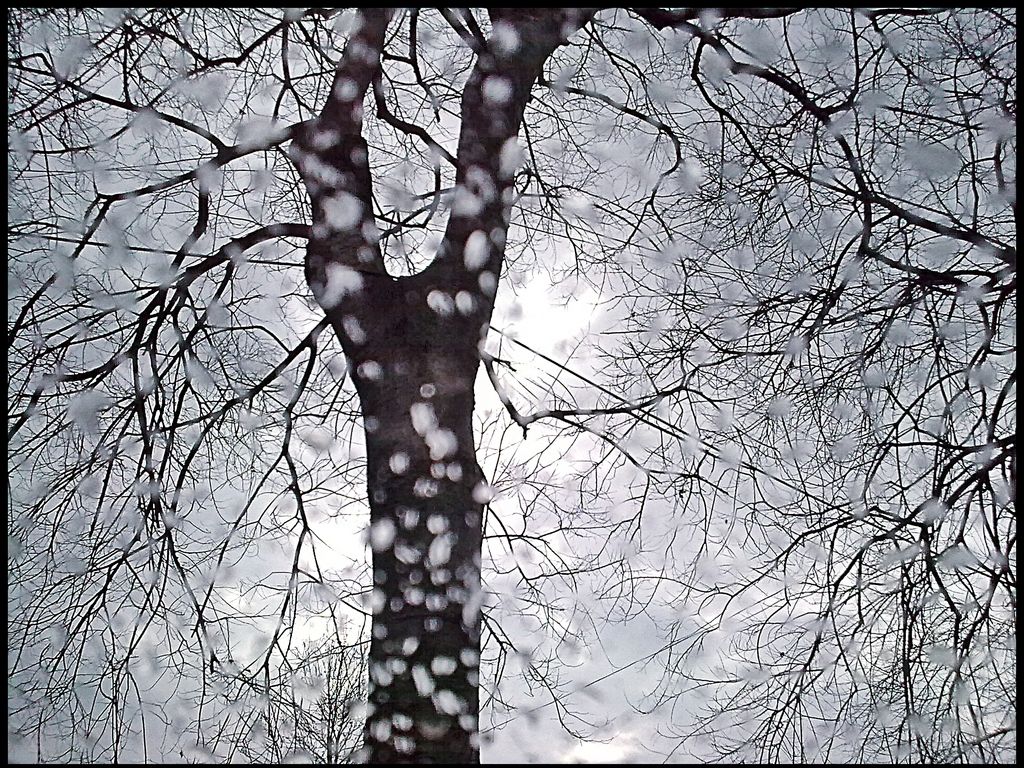 Winter Rainy Day Wallpapers - Wallpaper Cave