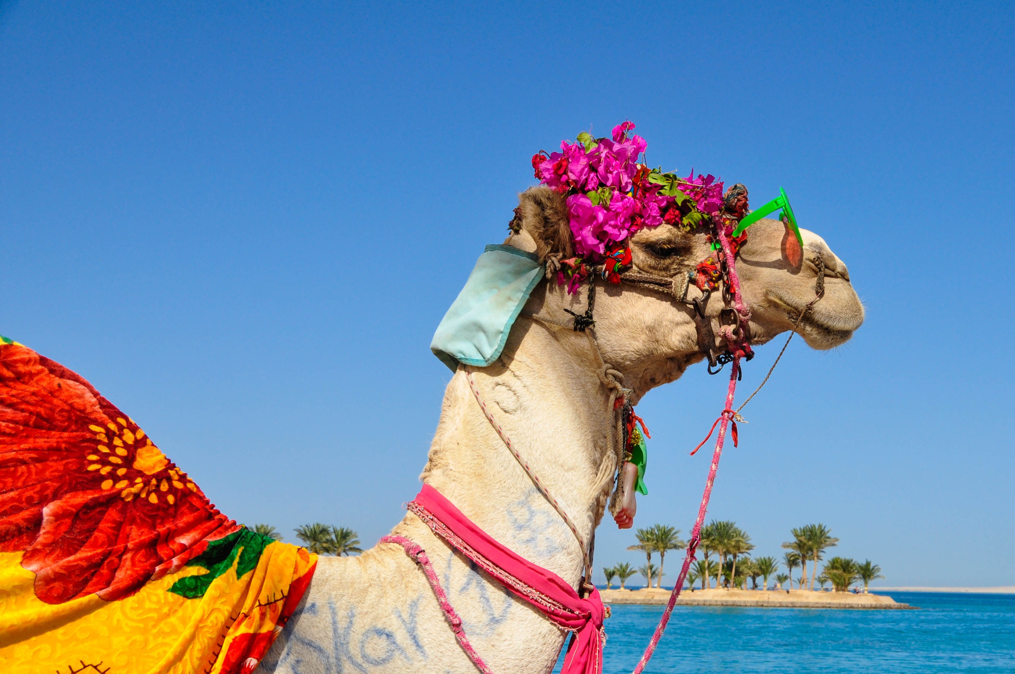 Hurghada Wallpapers - Wallpaper Cave