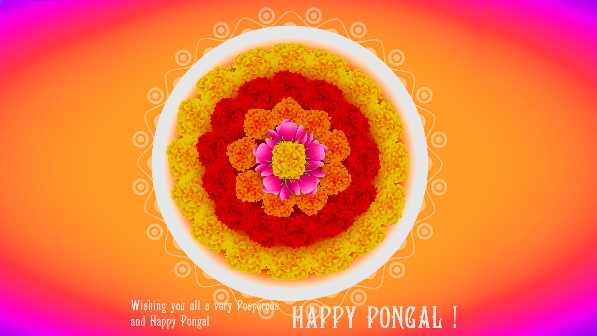 Happy Pongal HD Wallpapers - Wallpaper Cave