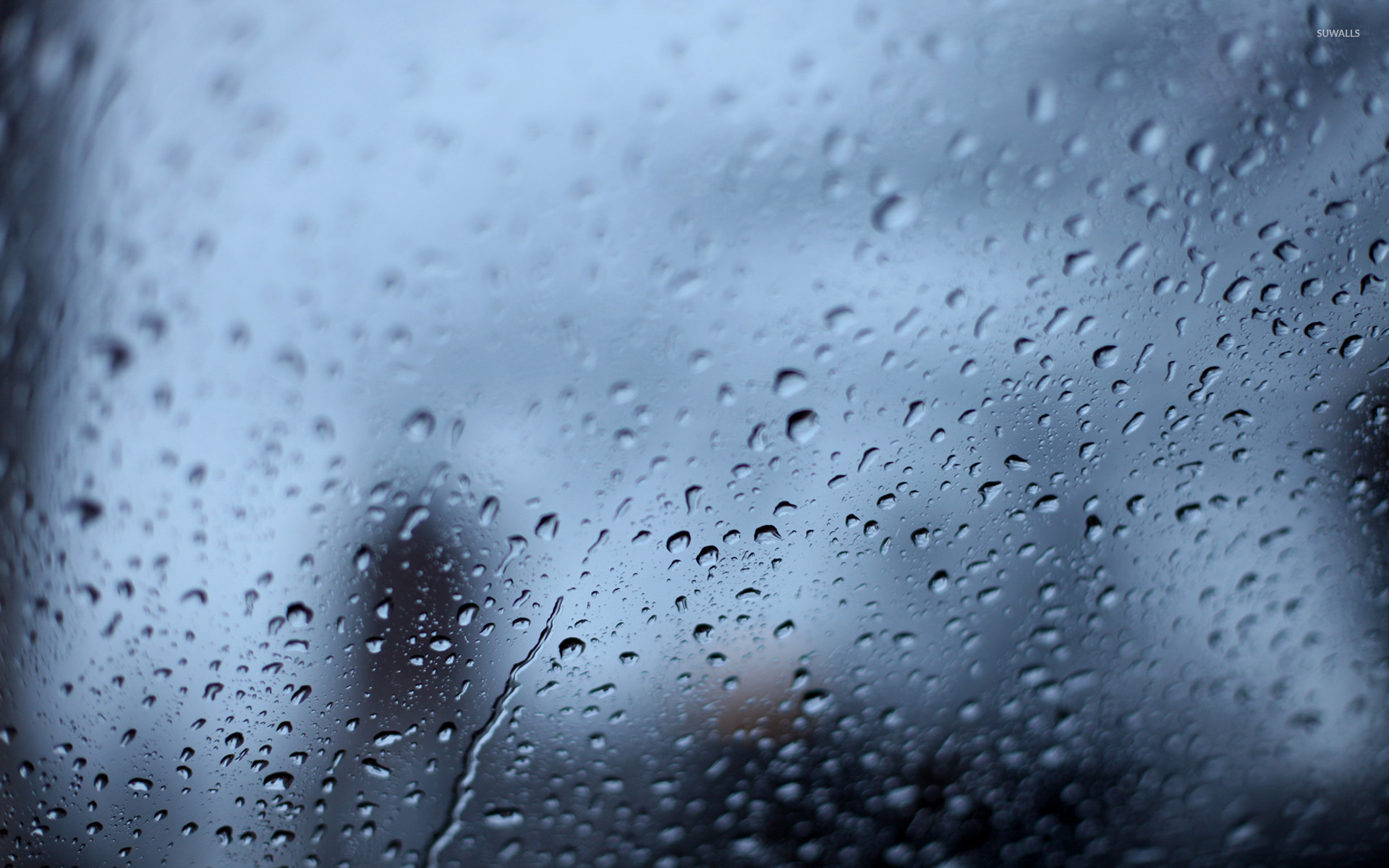 Condensation Wallpapers - Wallpaper Cave