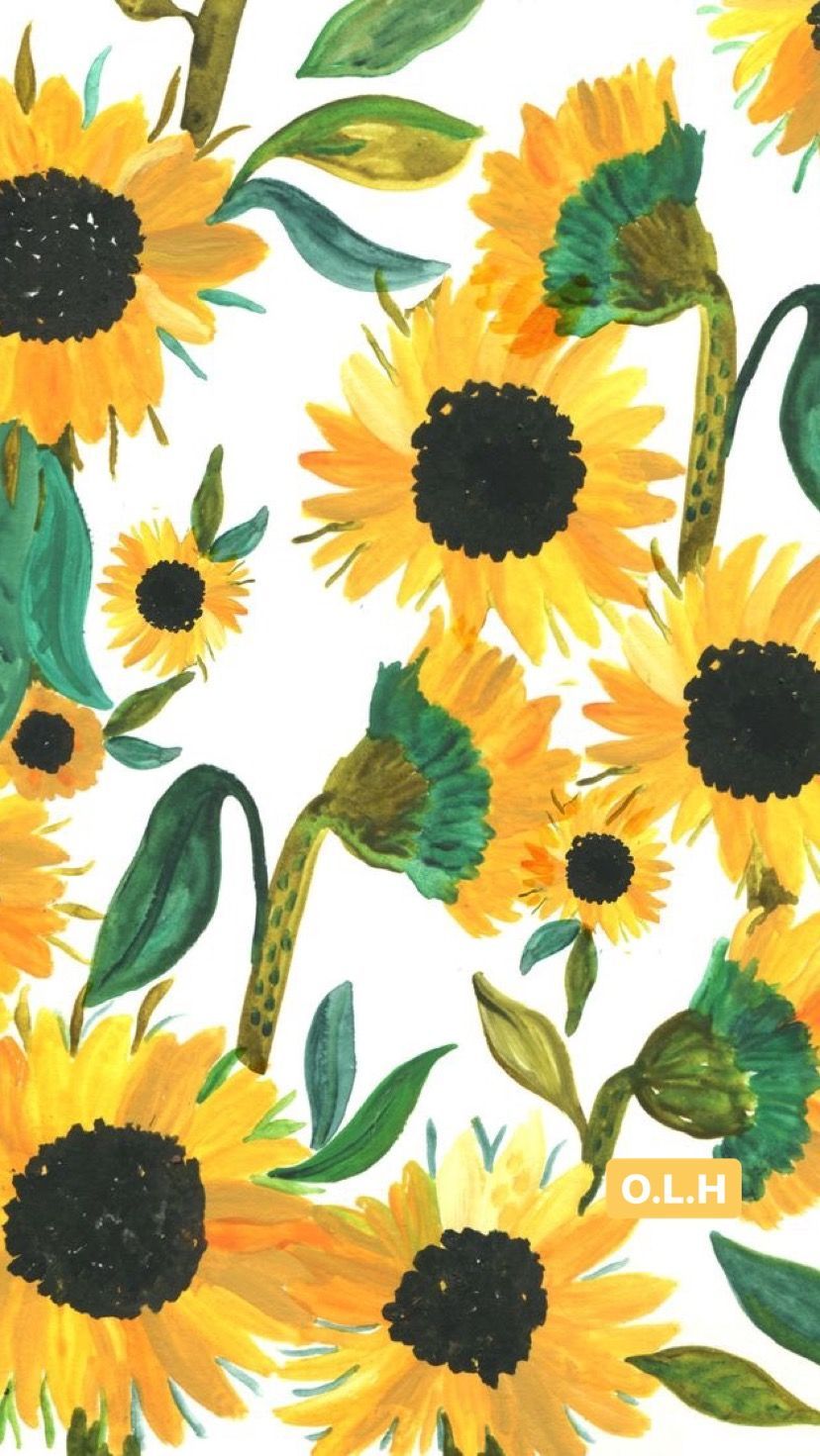 Sunflower Drawing Wallpapers - Wallpaper Cave