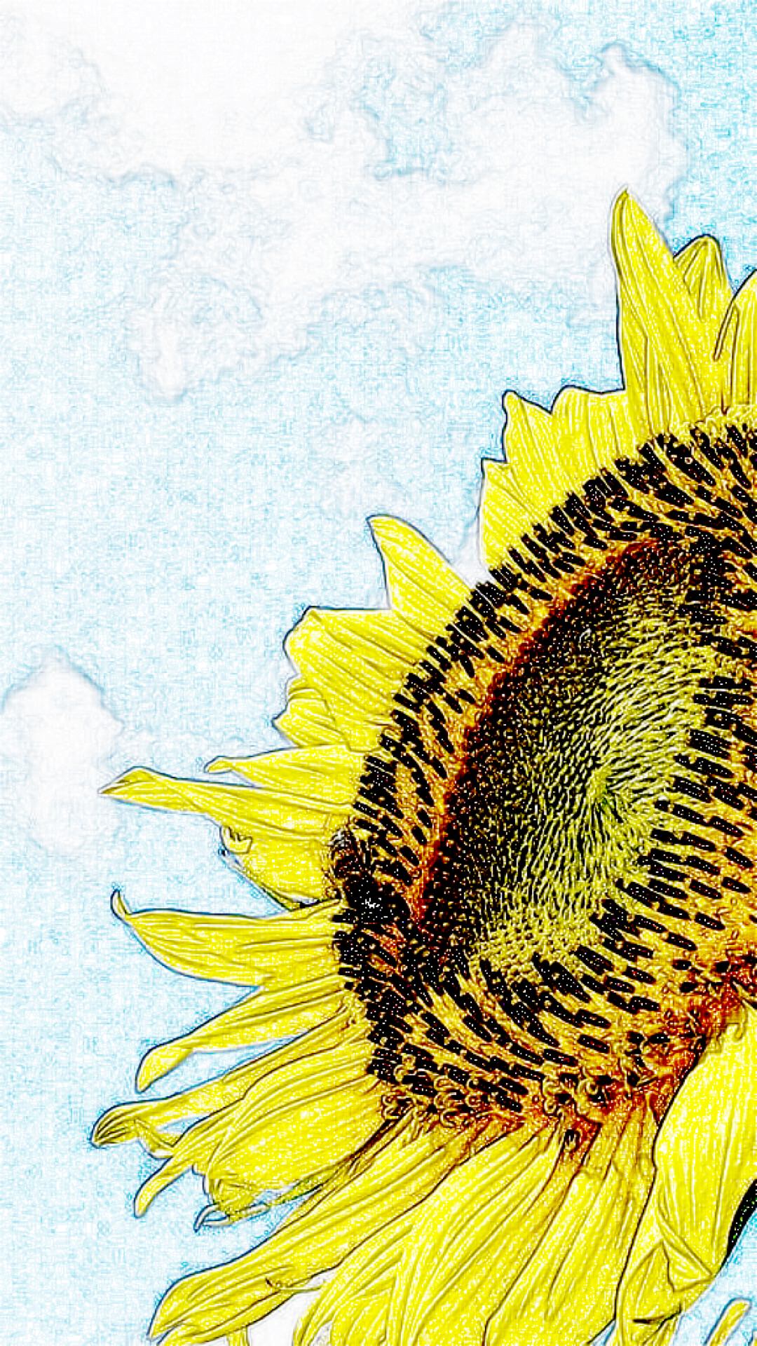 Sunflower Drawing Wallpapers - Wallpaper Cave