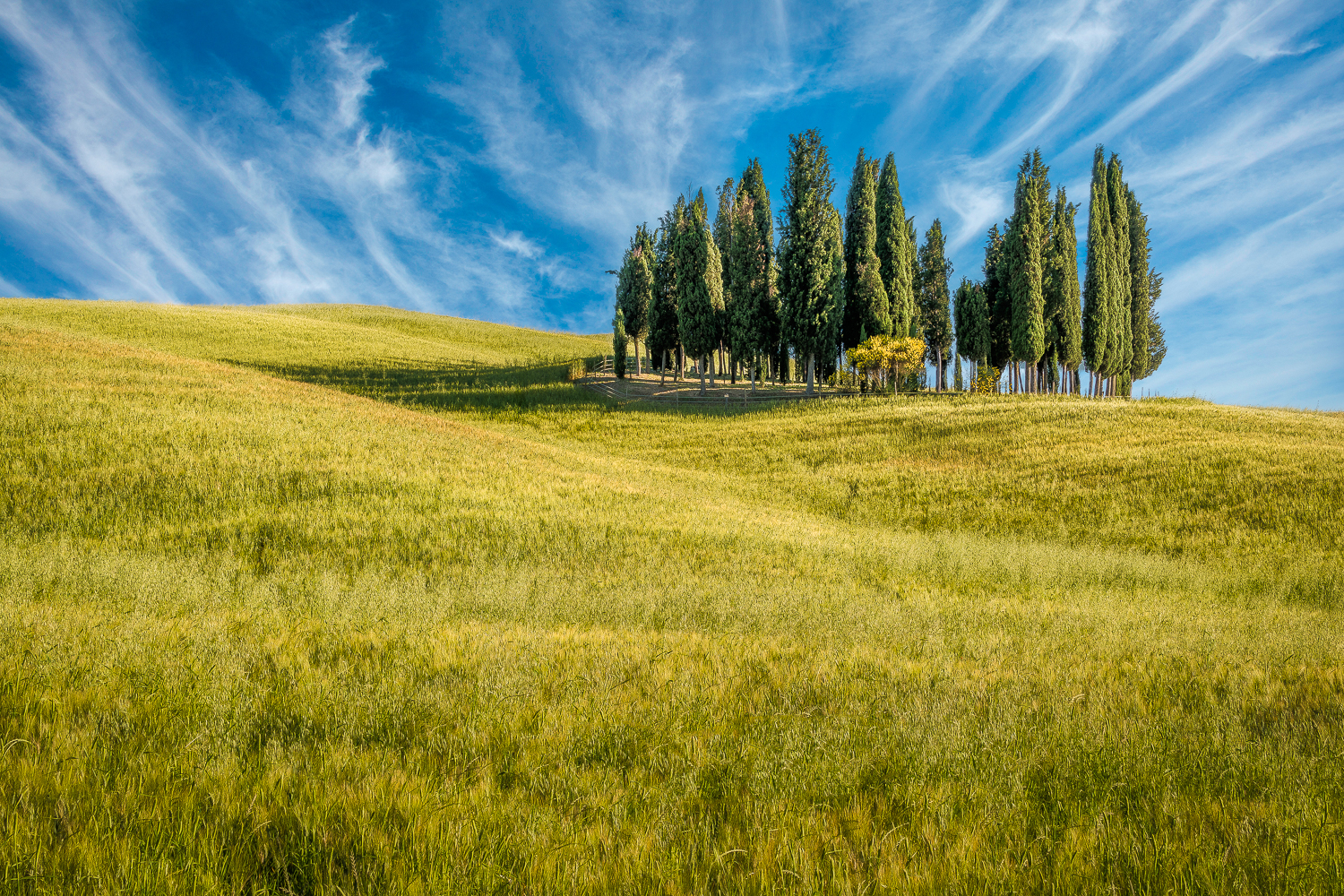 Copse Wallpapers - Wallpaper Cave