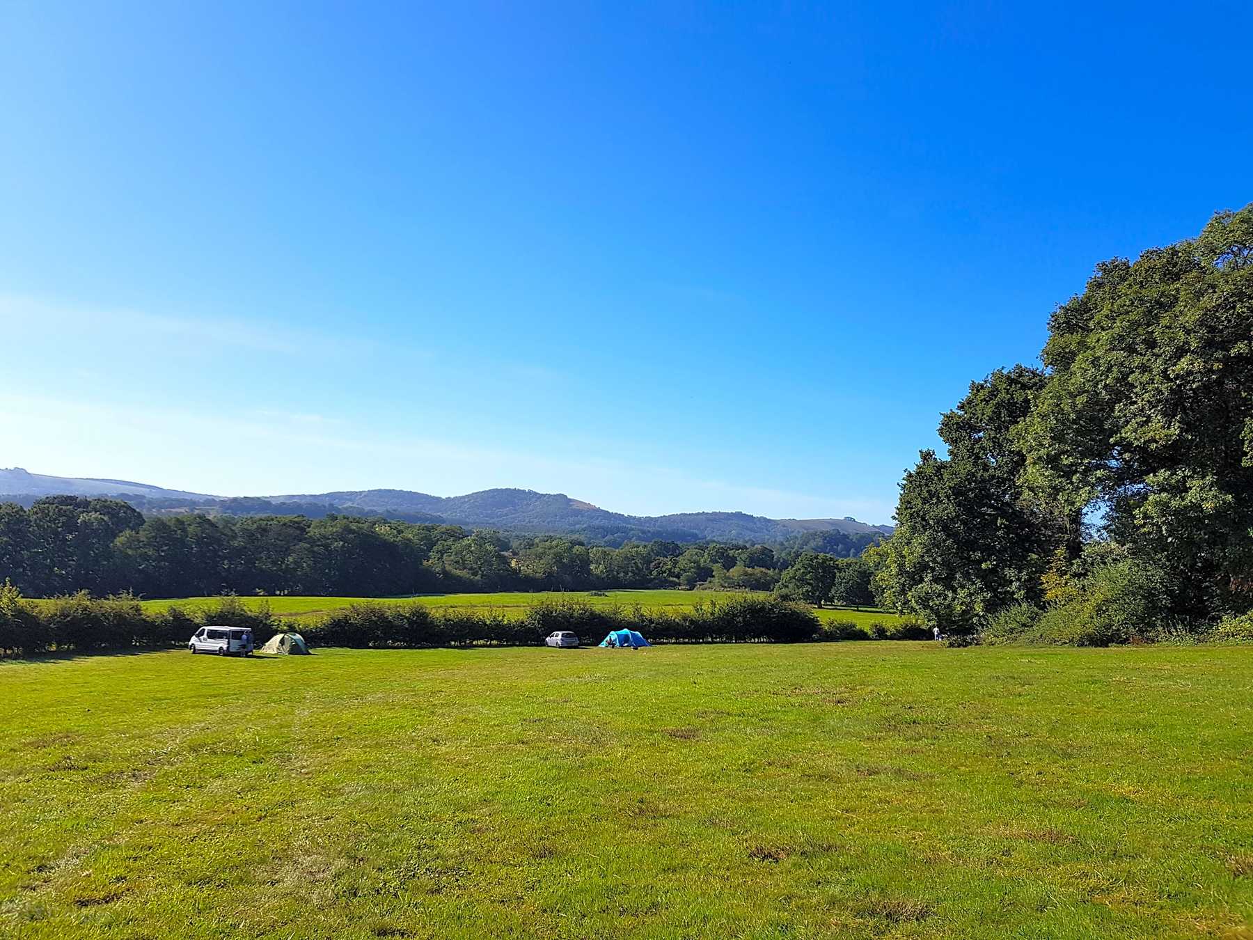 Copse Wallpapers - Wallpaper Cave