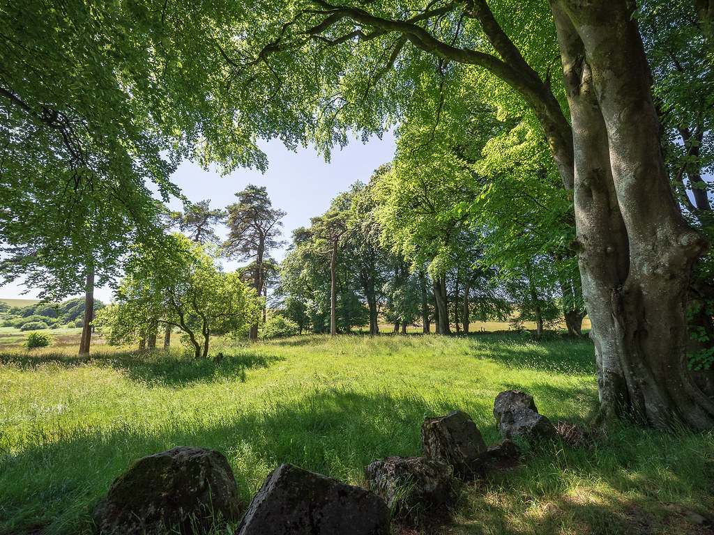 Copse Wallpapers - Wallpaper Cave