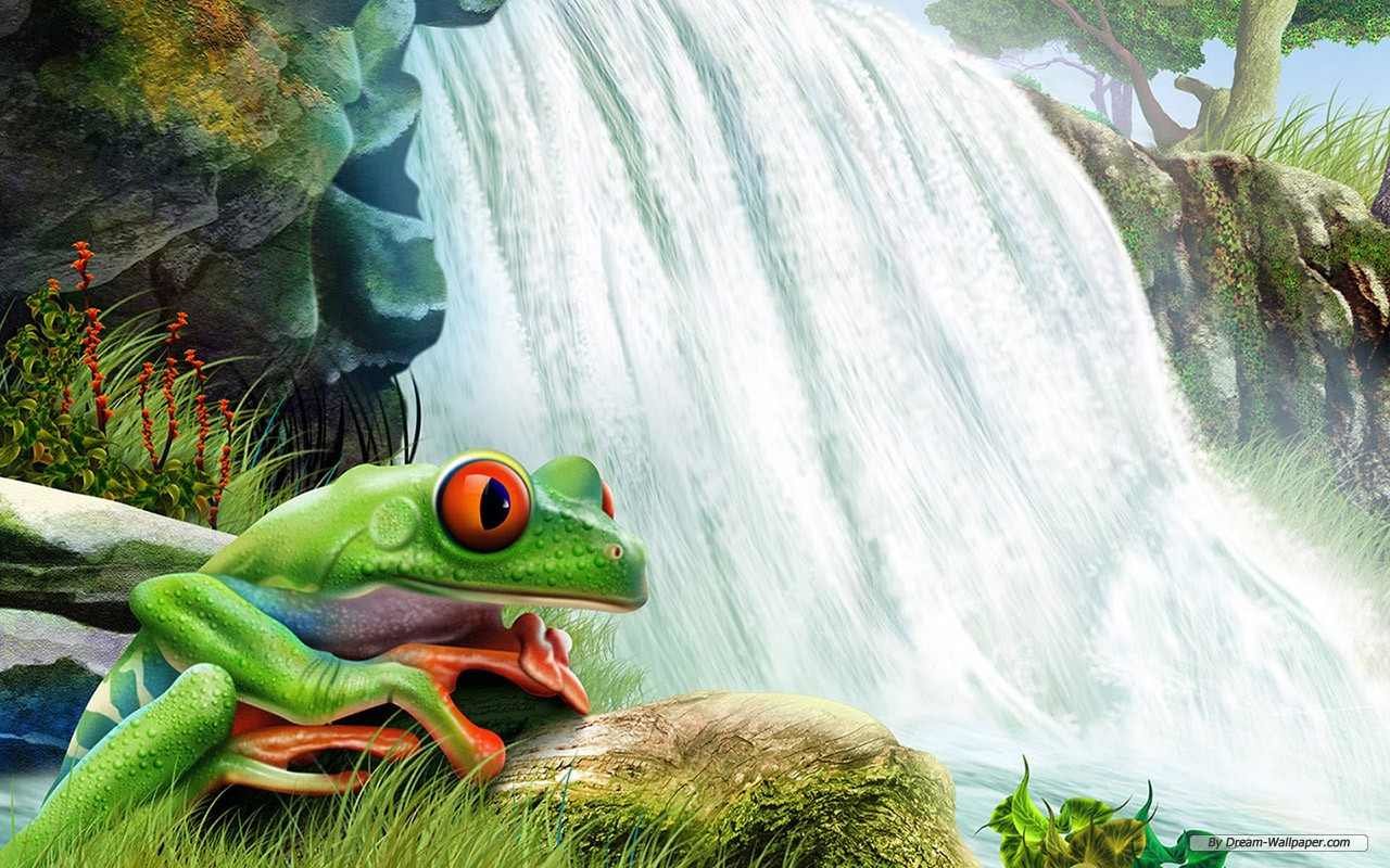 Amazing Frog Wallpapers - Wallpaper Cave