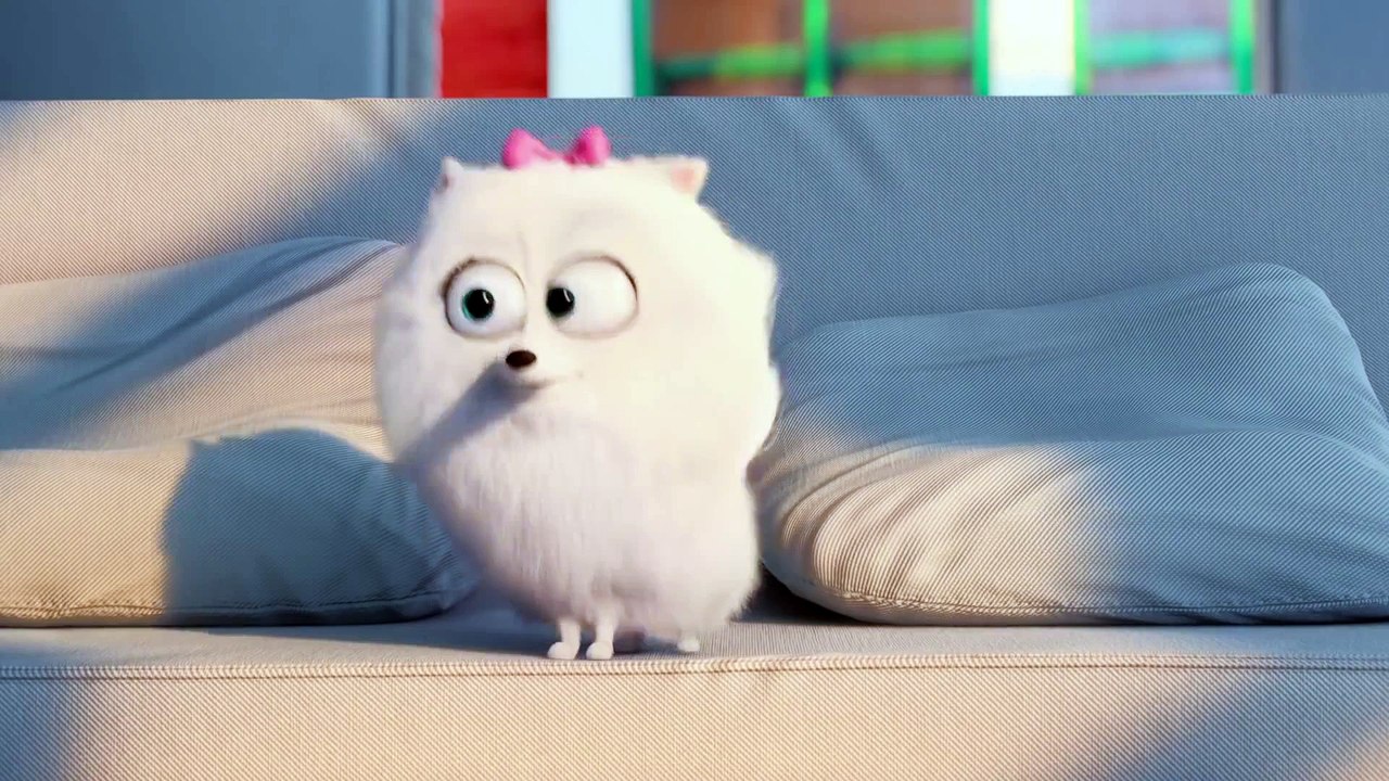 Gidget Wallpapers - Wallpaper Cave