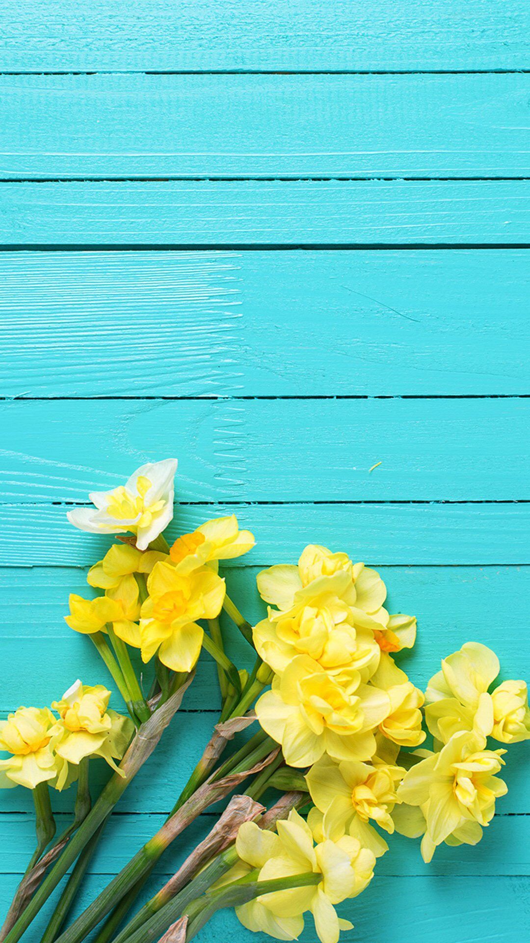 Cute Yellow Spring Wallpapers - Wallpaper Cave