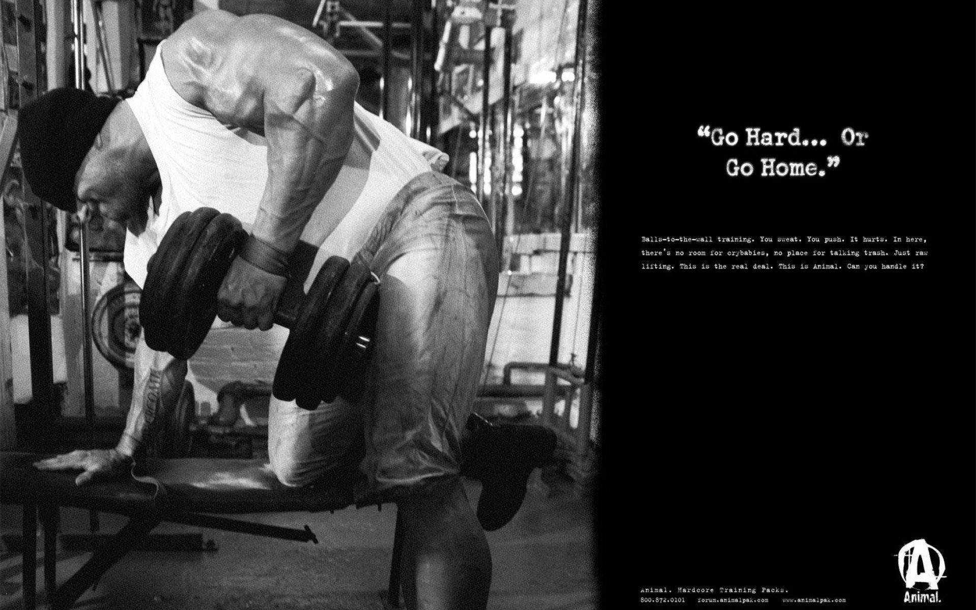 Weight Training Wallpapers - Wallpaper Cave