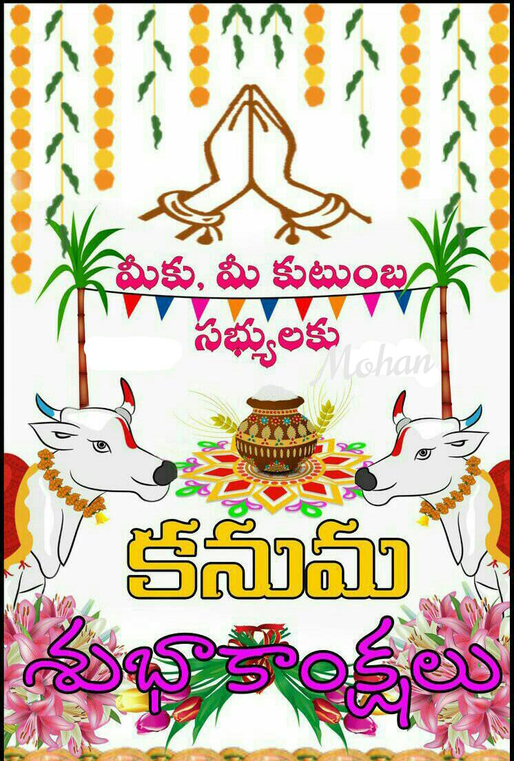 Happy Kanuma Wallpapers - Wallpaper Cave