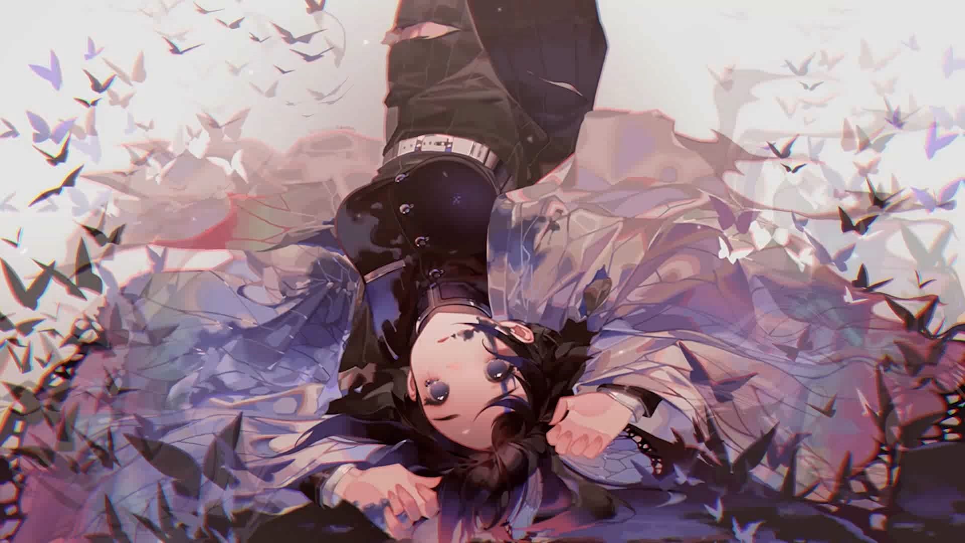 Demon Slayer Butterfly Wallpapers - Wallpaper Cave
