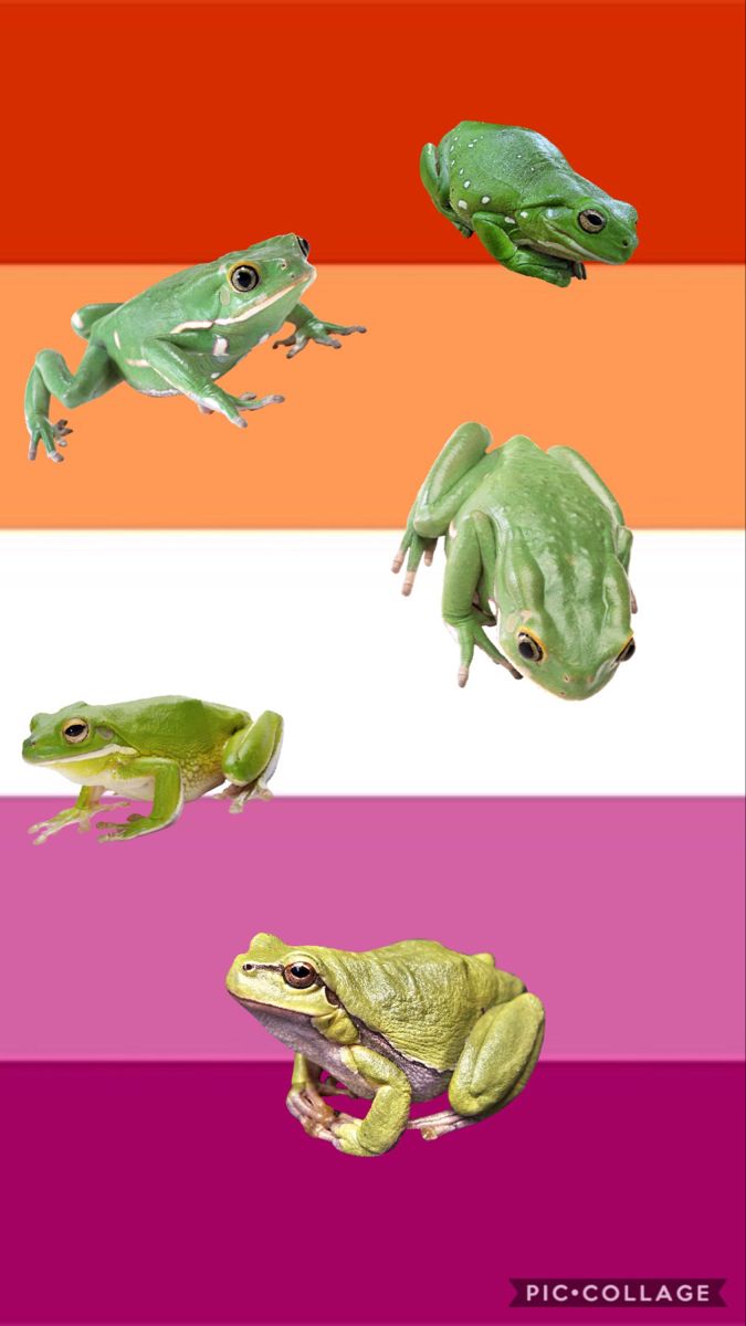Lesbian Frog Wallpapers - Wallpaper Cave