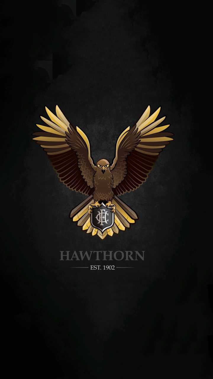 Hawthorn Hawks Wallpapers - Wallpaper Cave