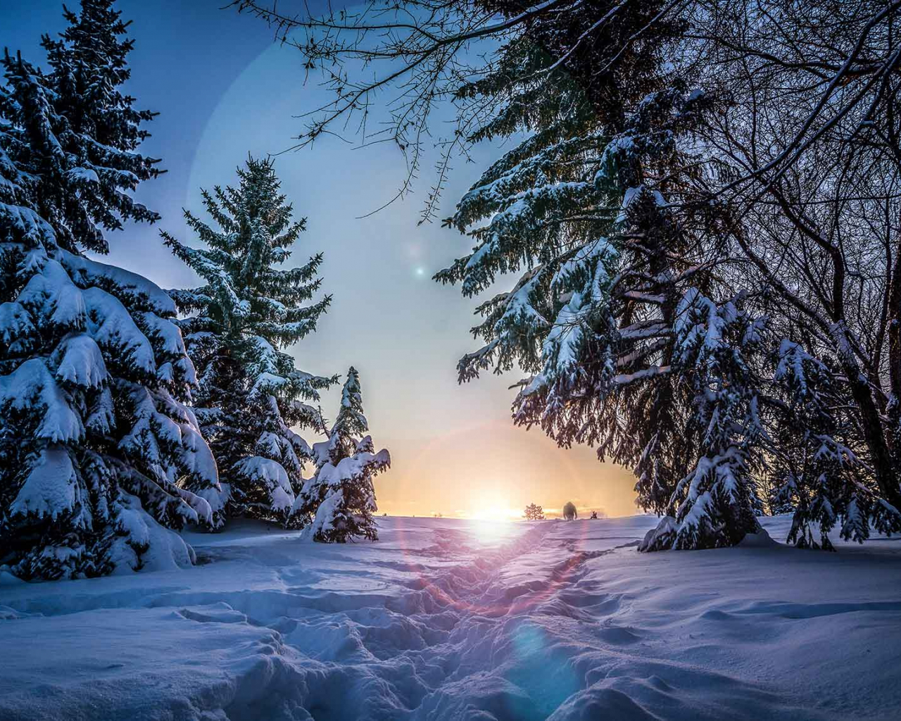 Prepppy Winter Wallpapers - Wallpaper Cave