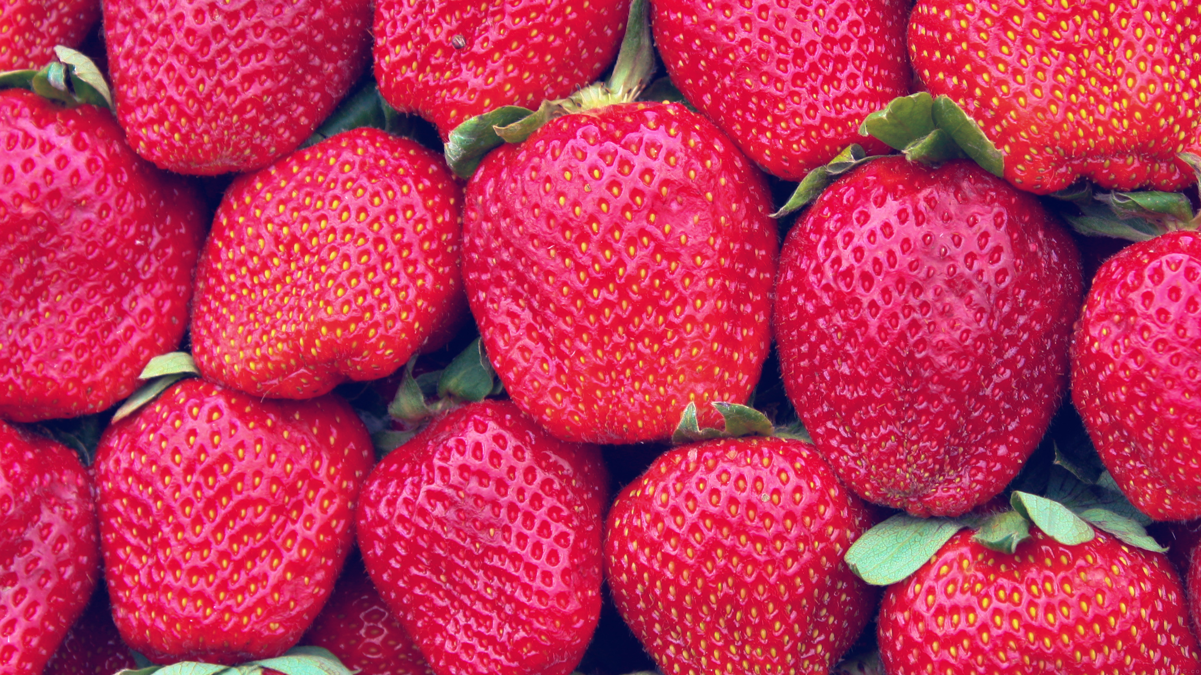 Spring Pattern Laptop Wallpapers - Wallpaper Cave