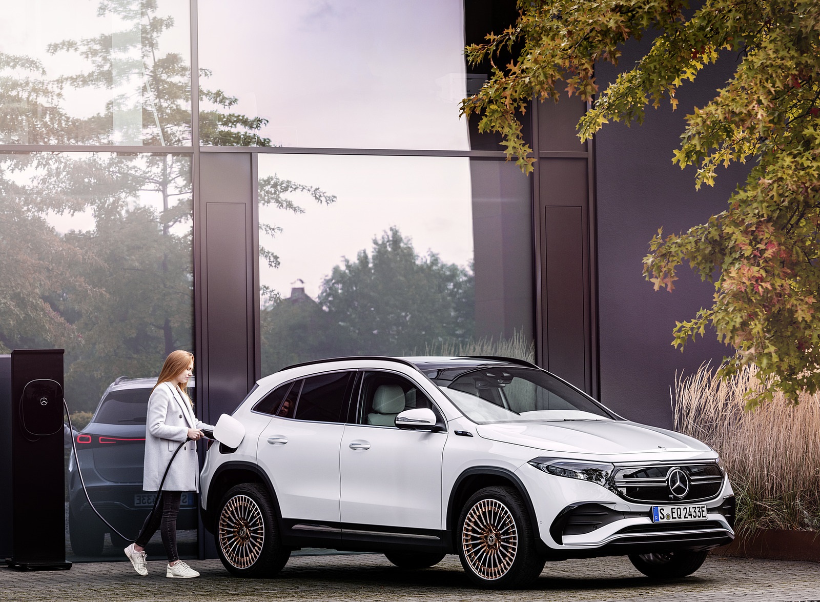 EQA Wallpapers - Wallpaper Cave