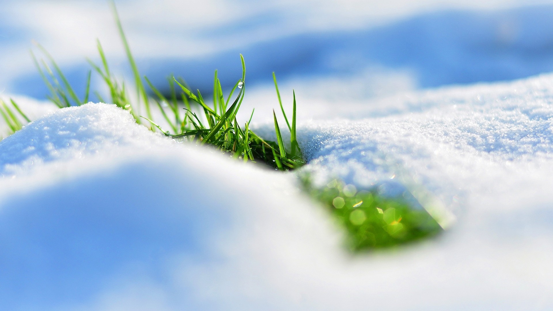 Winter Grassland Wallpapers - Wallpaper Cave