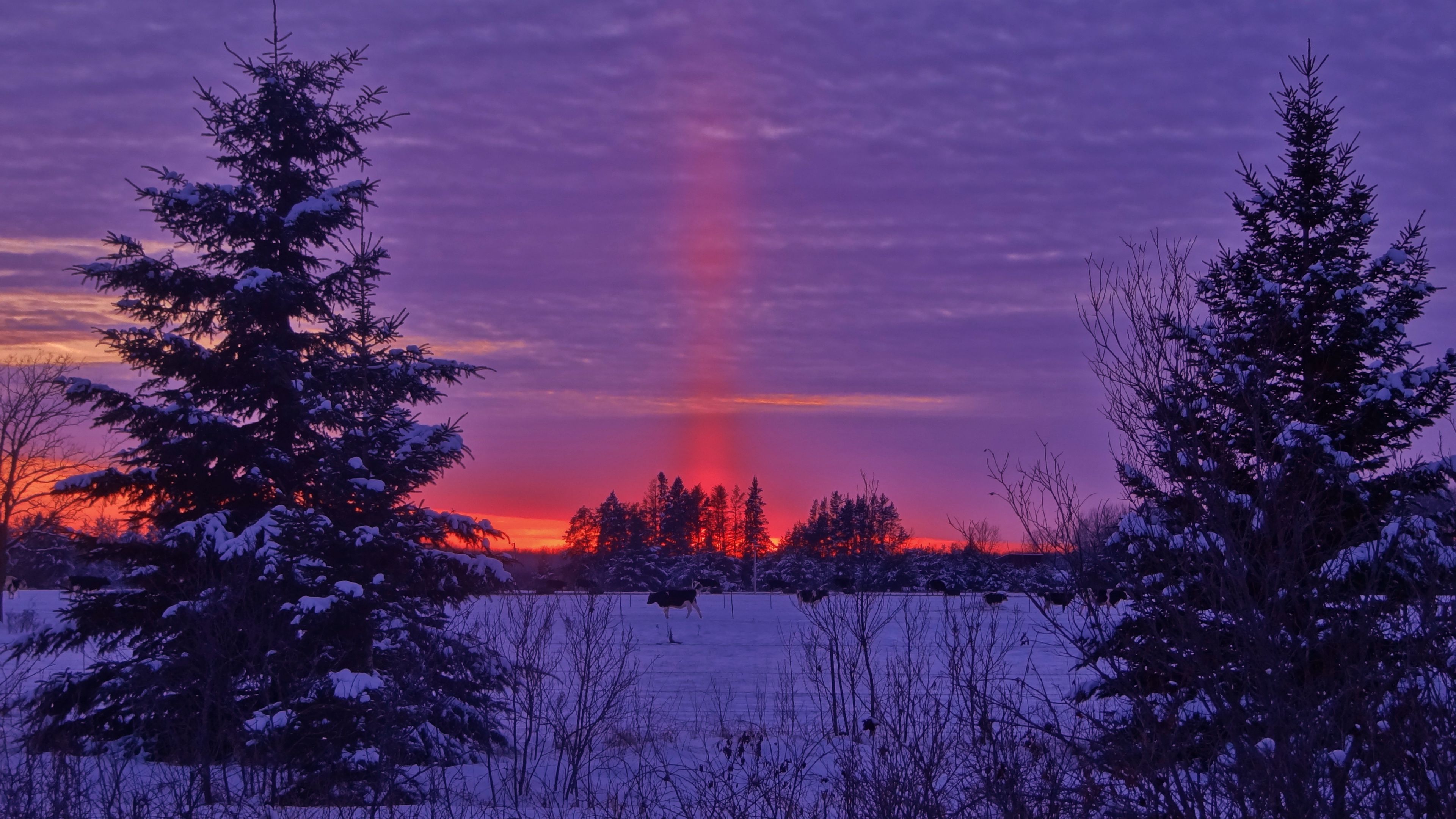 4k Winter Sunset Wallpapers - Wallpaper Cave