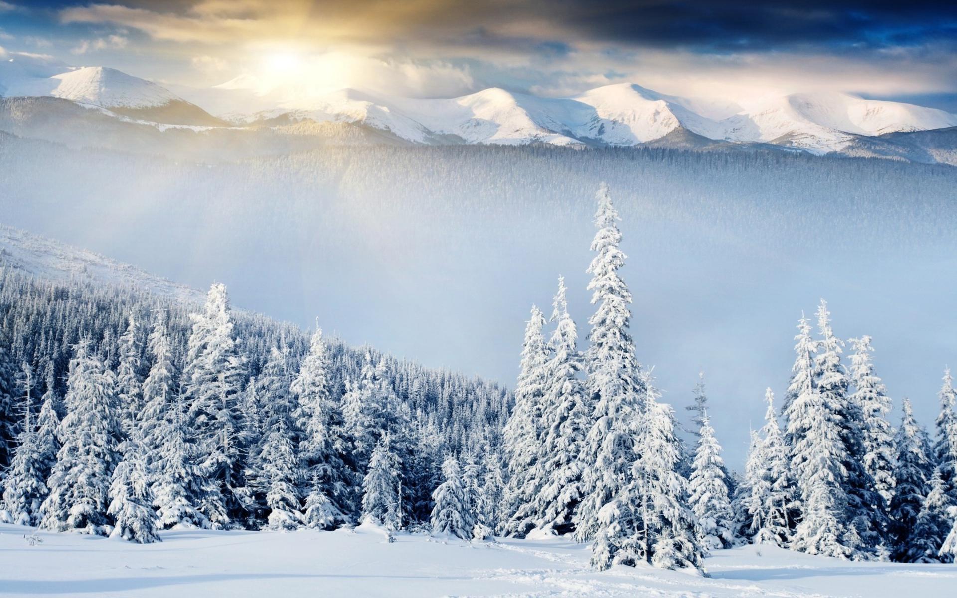 Panorama Winter Wallpapers - Wallpaper Cave