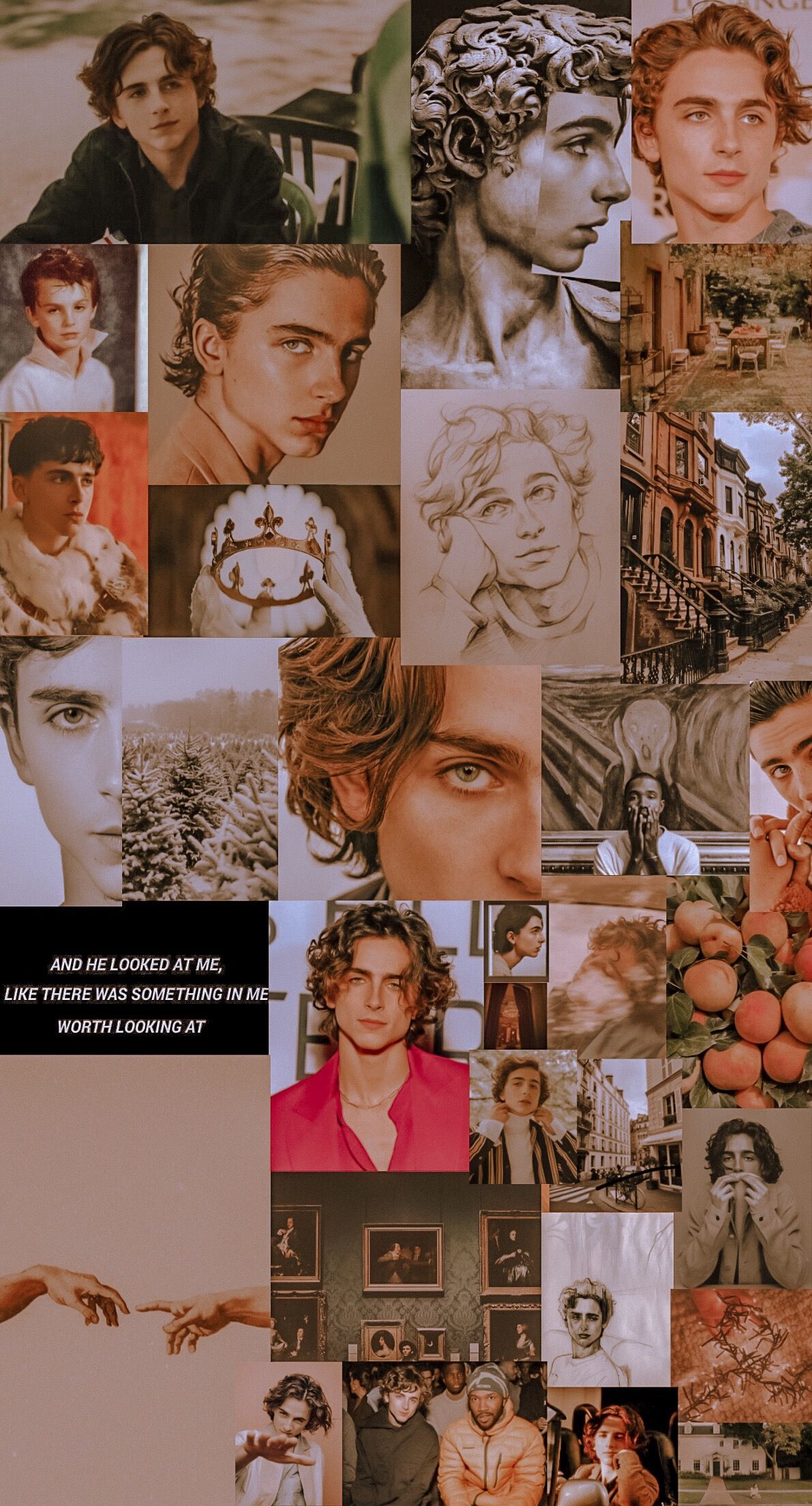 Timothée Chalamet Collage Wallpapers - Wallpaper Cave