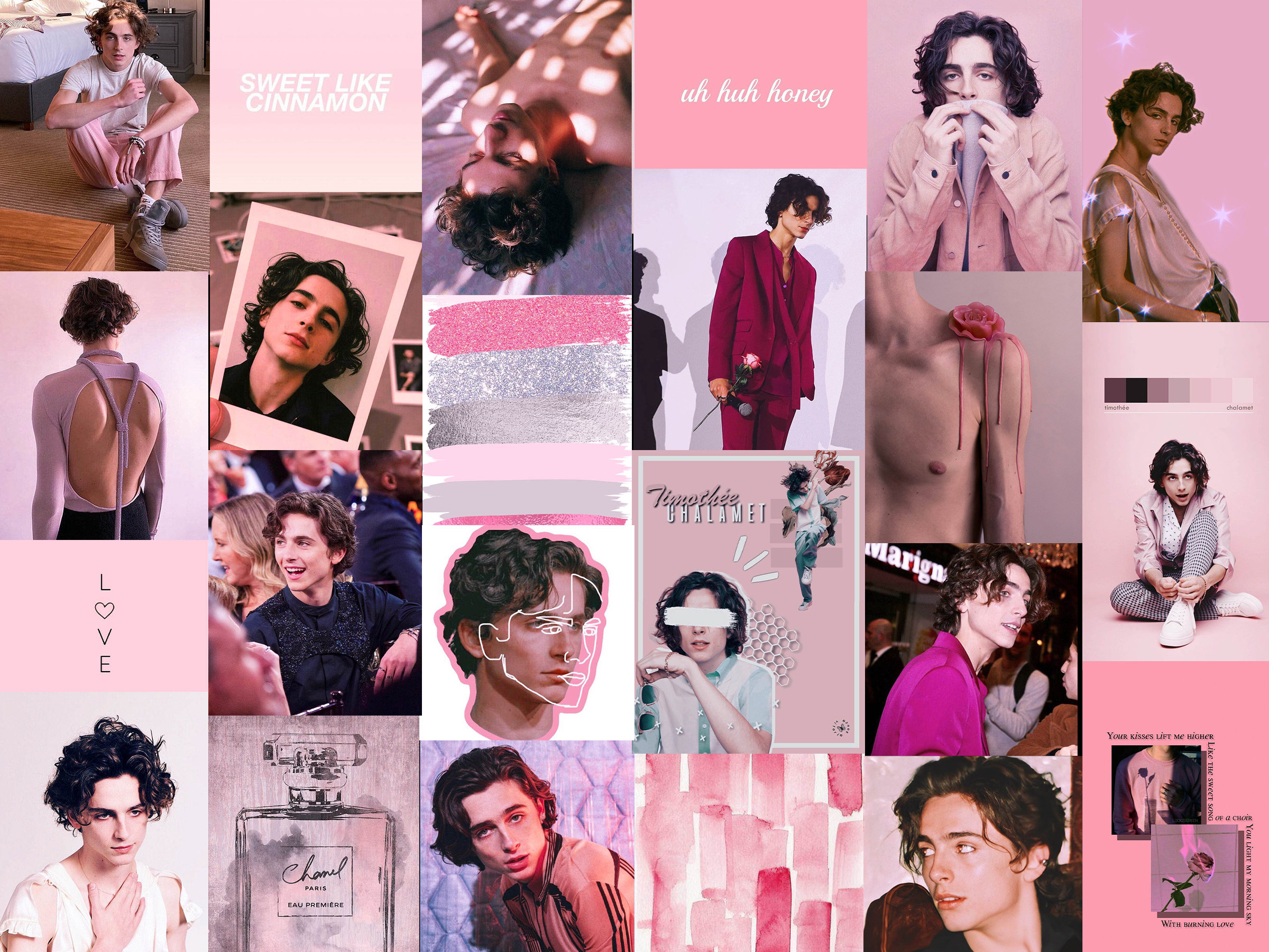 Timothée Chalamet Collage Wallpapers - Wallpaper Cave