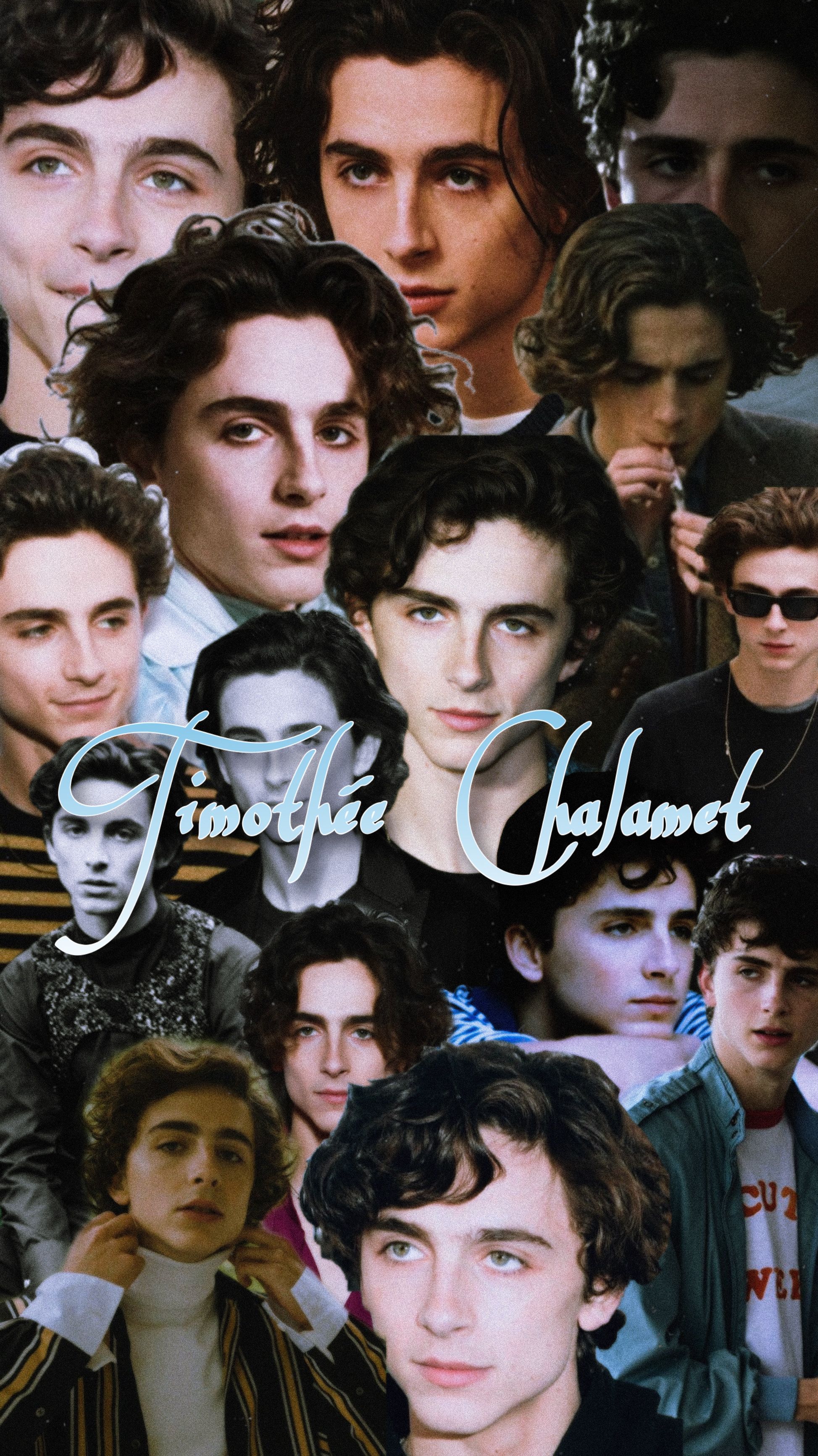 Timothée Chalamet Collage Wallpapers - Wallpaper Cave