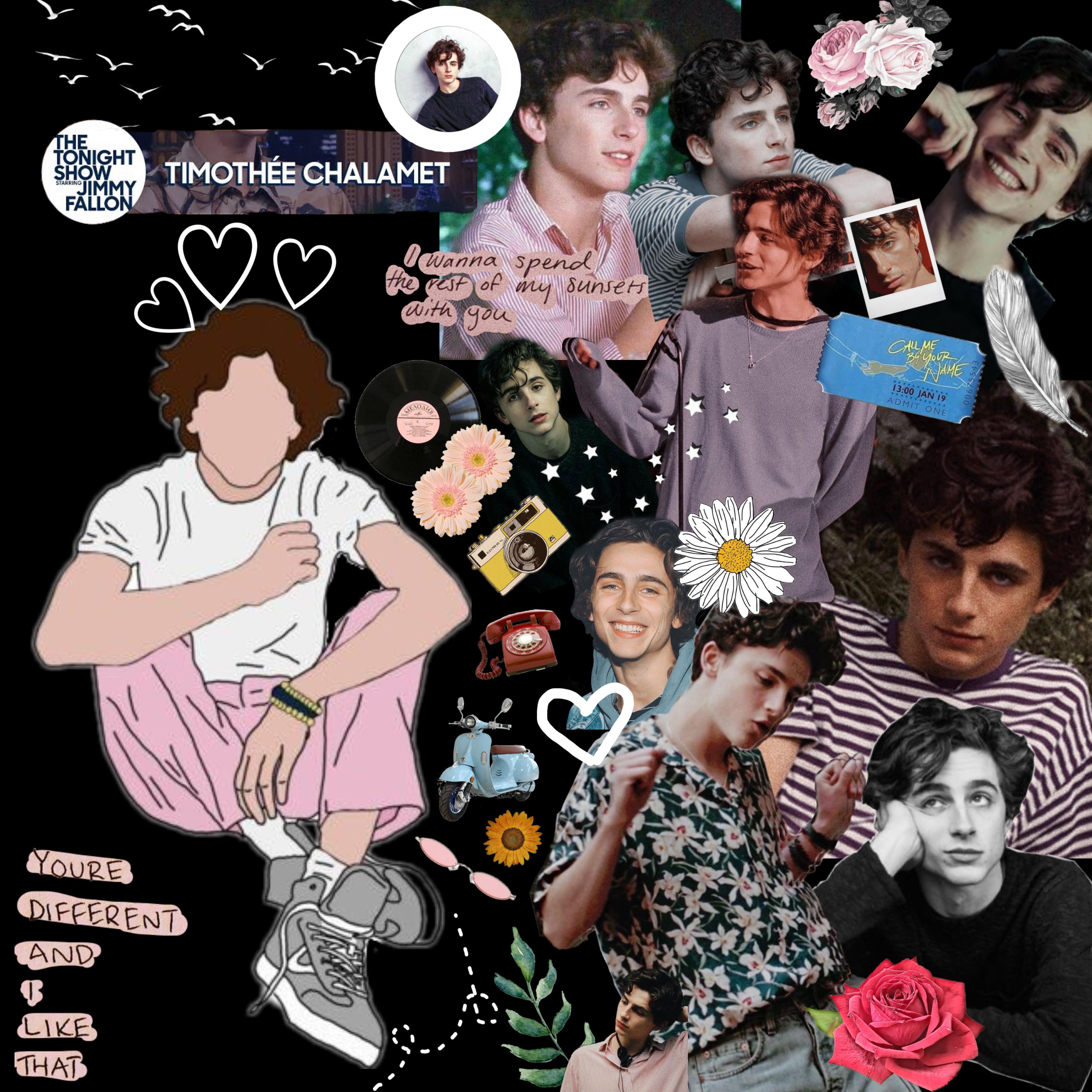 Timothée Chalamet Collage Wallpapers - Wallpaper Cave