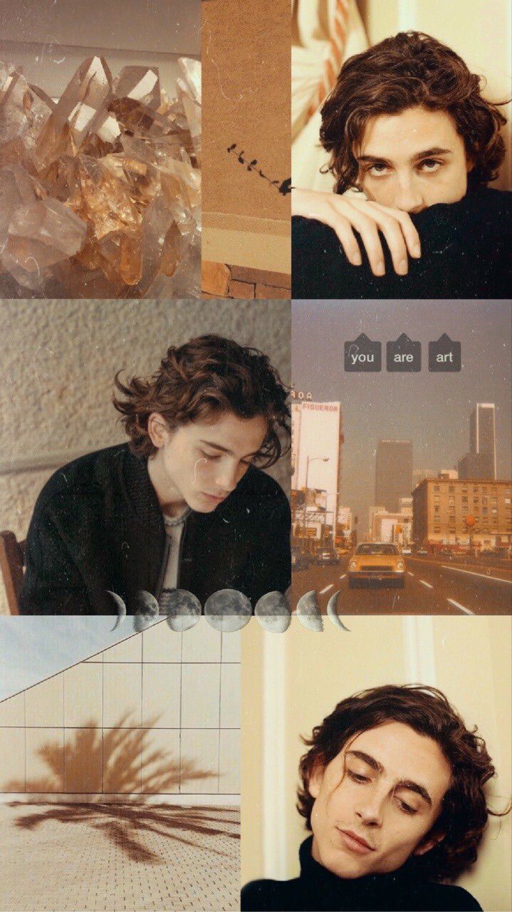 Timothée Chalamet Collage Wallpapers - Wallpaper Cave