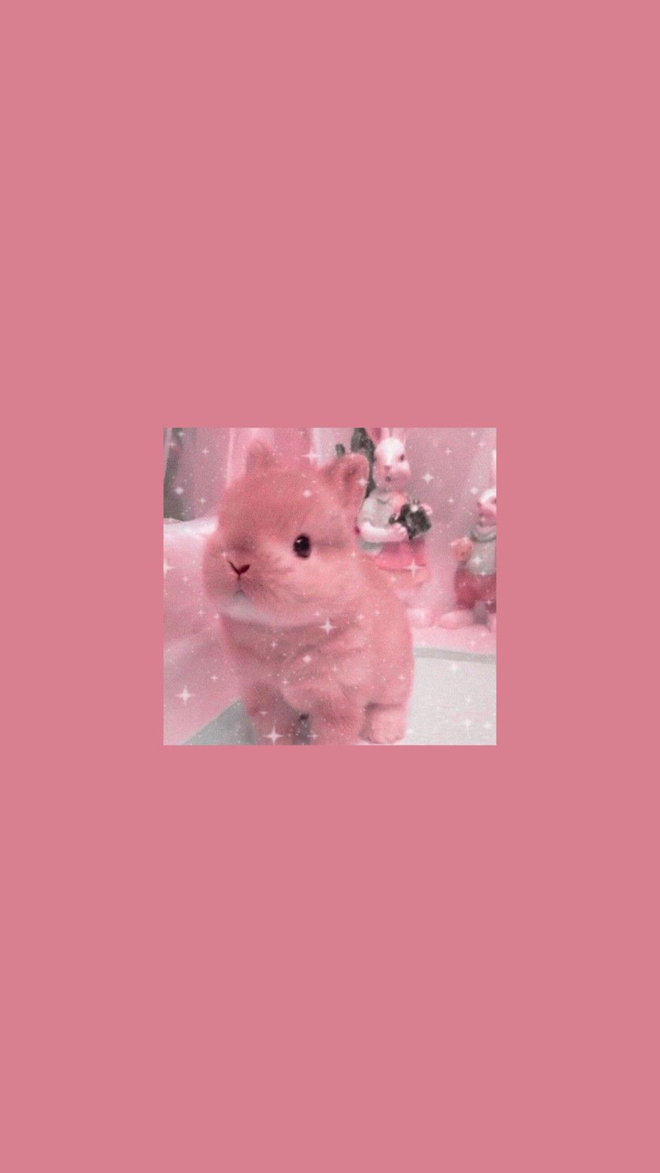 Pink Bunny Aesthetic Wallpapers - Wallpaper Cave